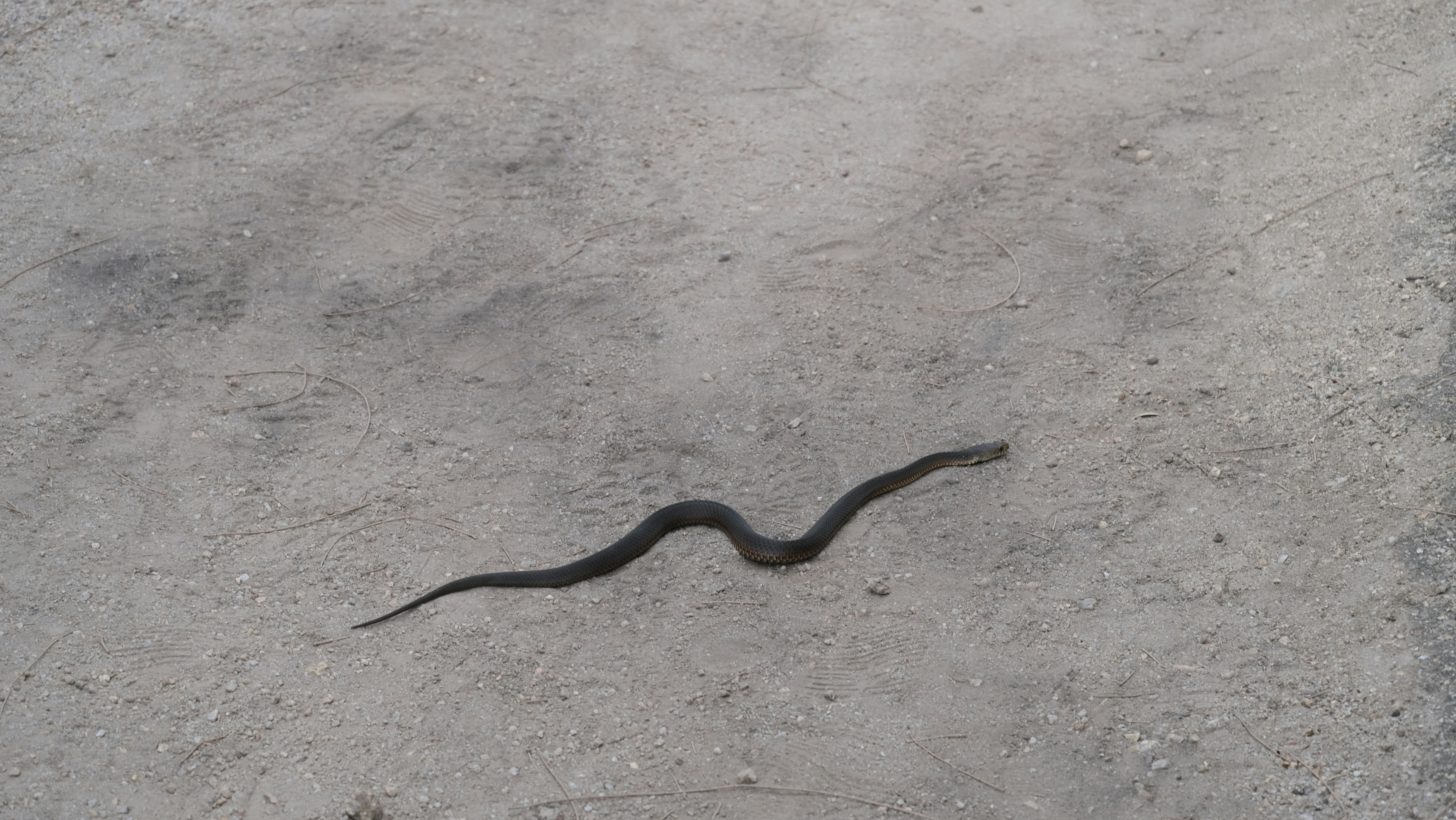 Photo by Thomas Gabernig with Fujifilm X-T30 II