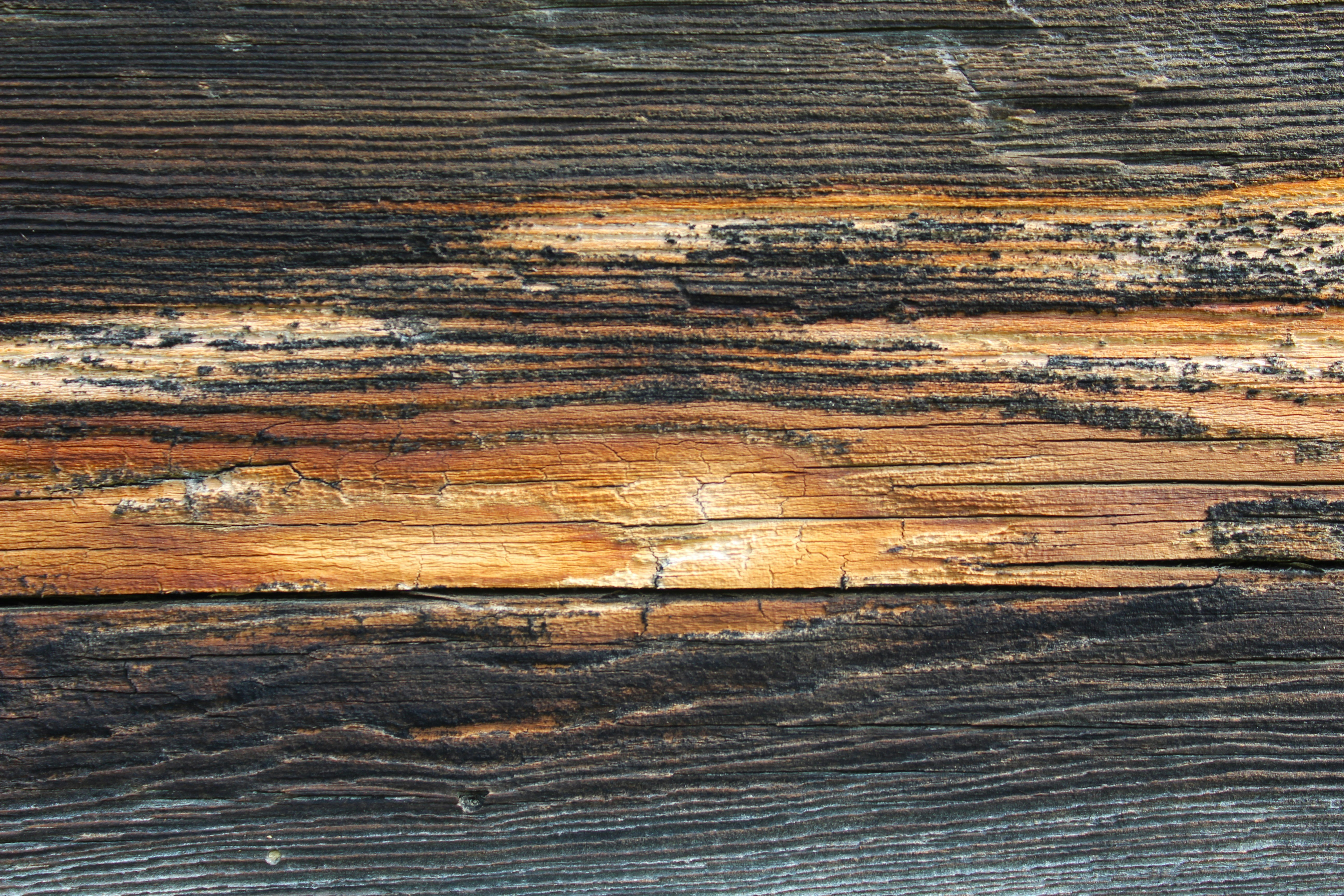 A piece of wood that has been stained brown photo – Free Interior ...