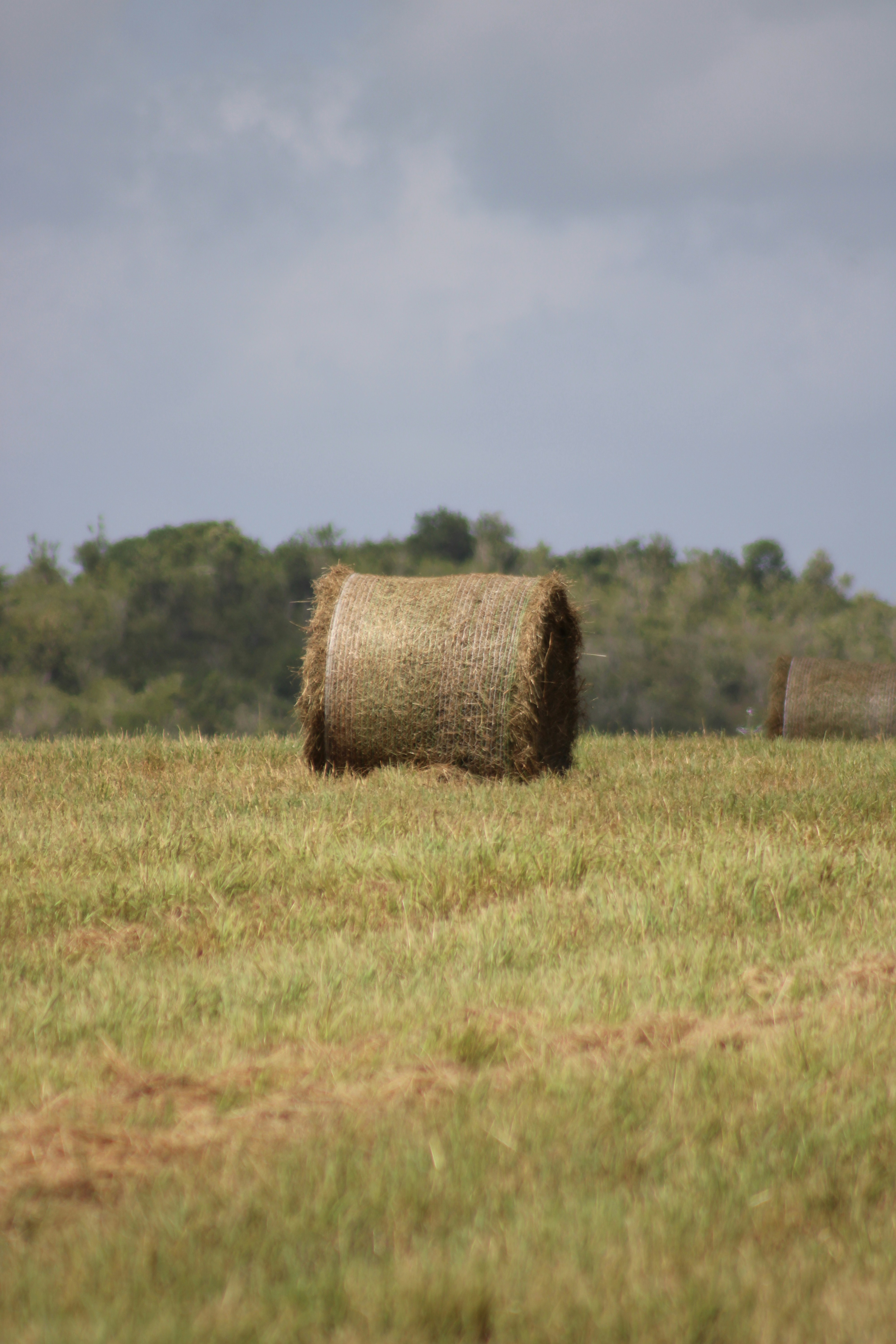 A couple of hay bales sitting on top of a lush green field photo – Free ...