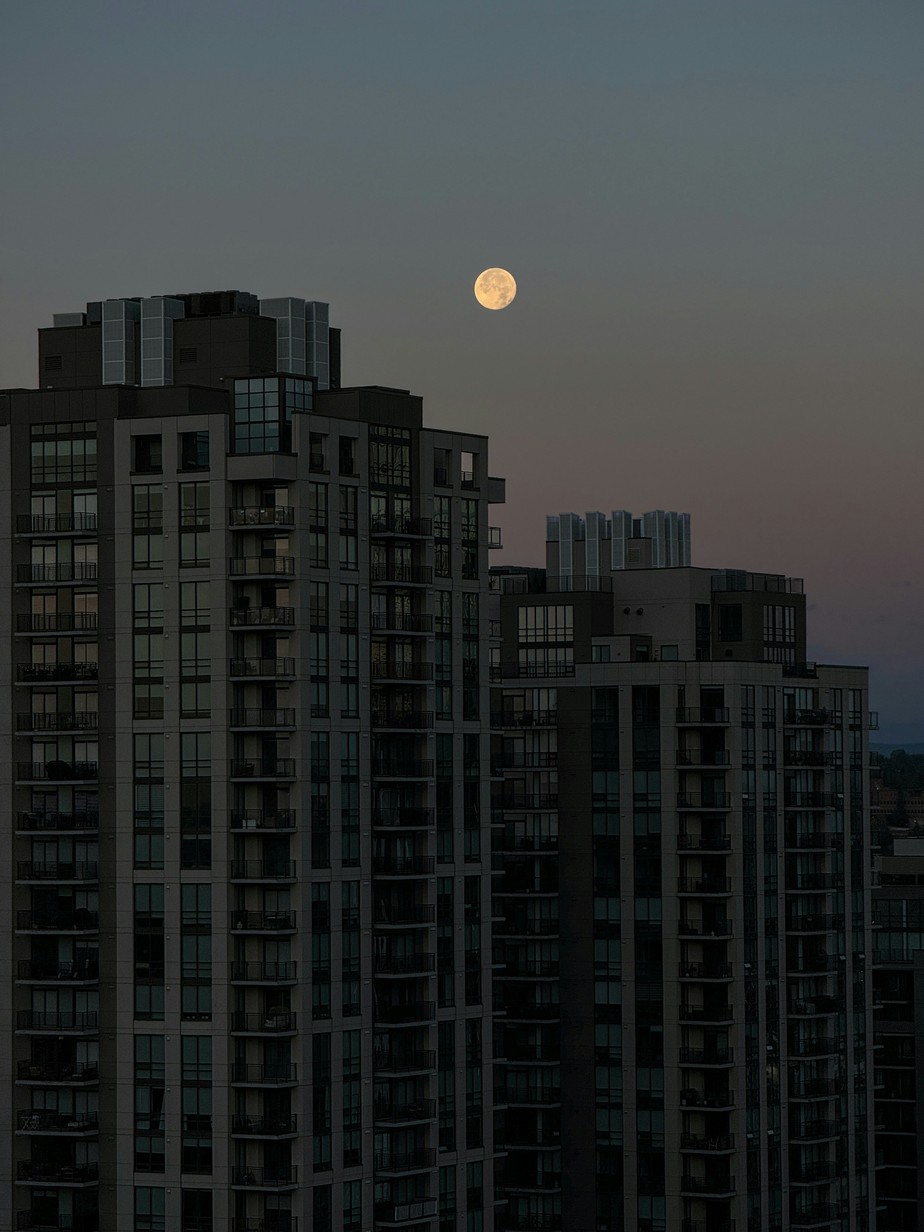 A full moon rising over a city with tall buildings photo – Free Calgary ...