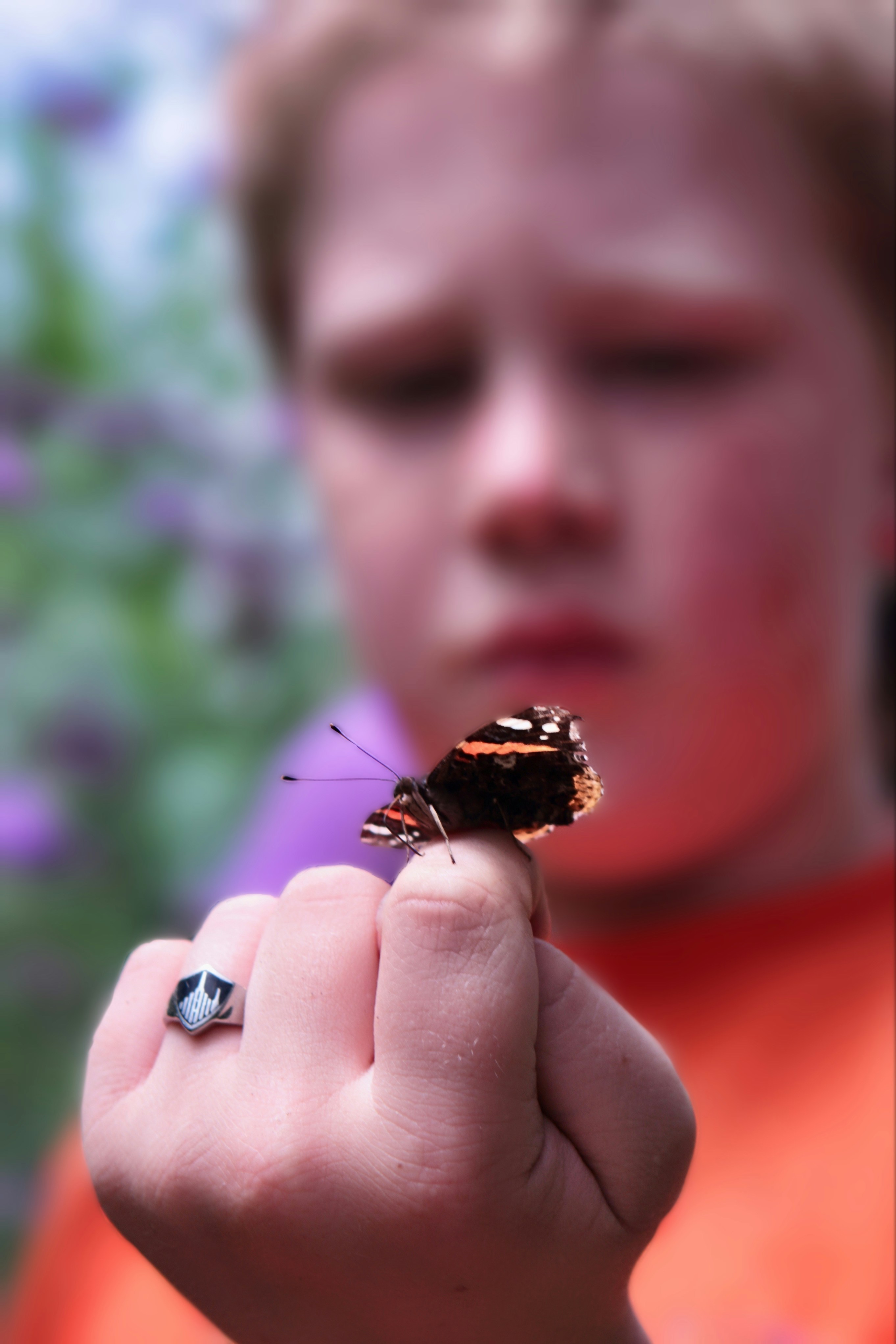 A Red Admiral Butterfly lands on the hand of a child at Butterfly Haven in Idaho in June 27, 2024.