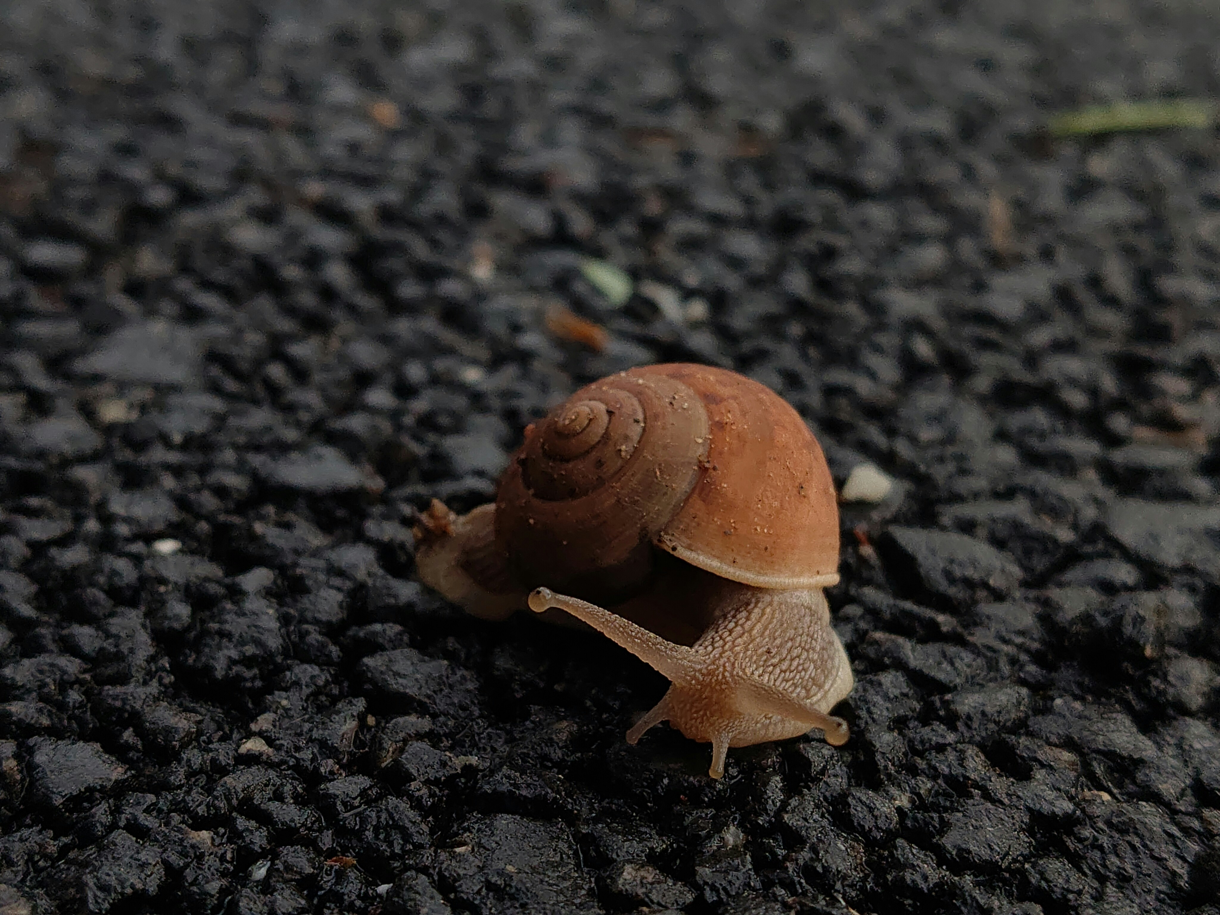 Photo by Karthik K V with OnePlus Nord CE4