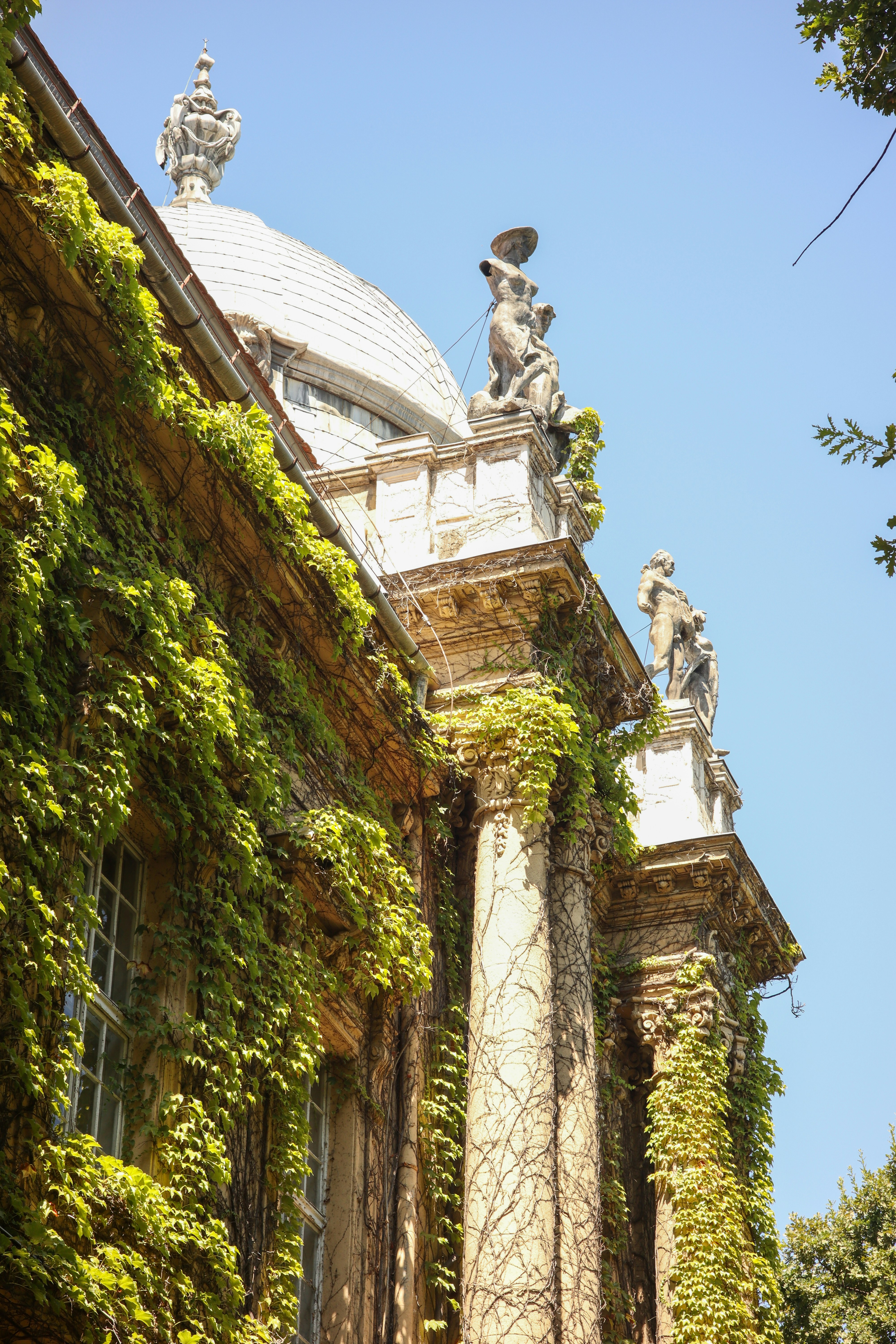 Statues and Ivy on a Sunlit Classical Terrace