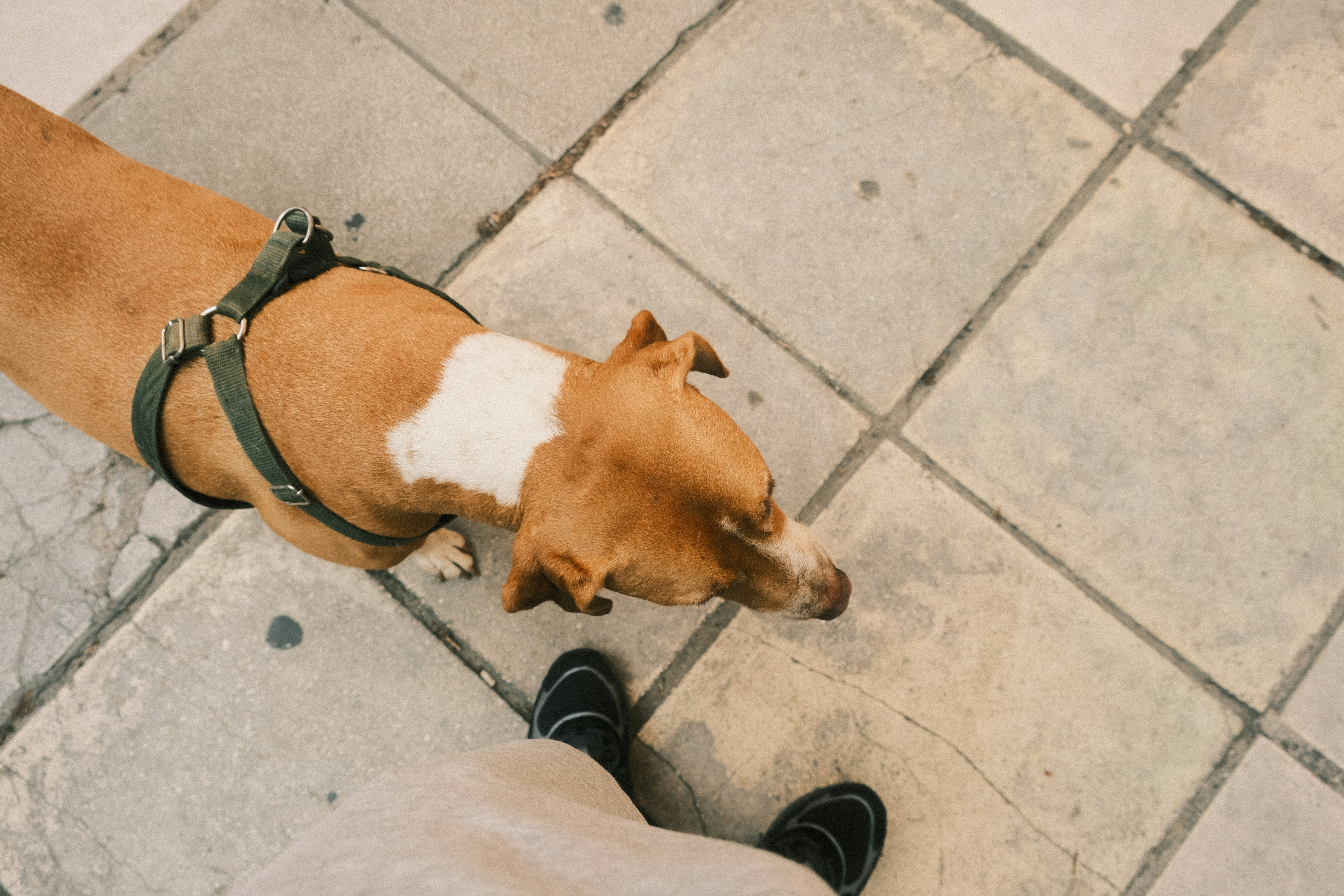 Photo by Luca Merz with Fujifilm X-T30 II