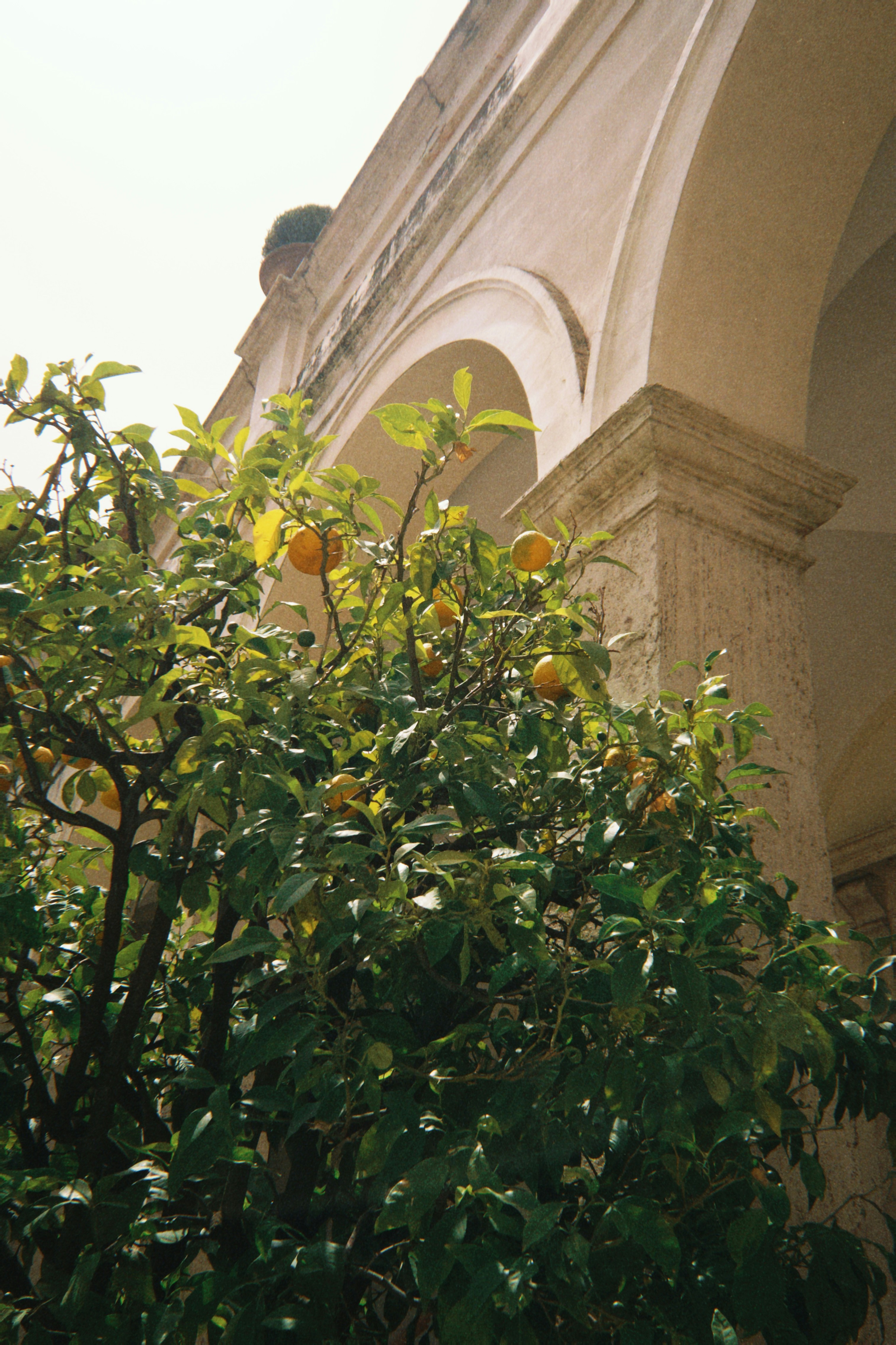 Photo by X Du with Apple iPhone 11 Pro Max