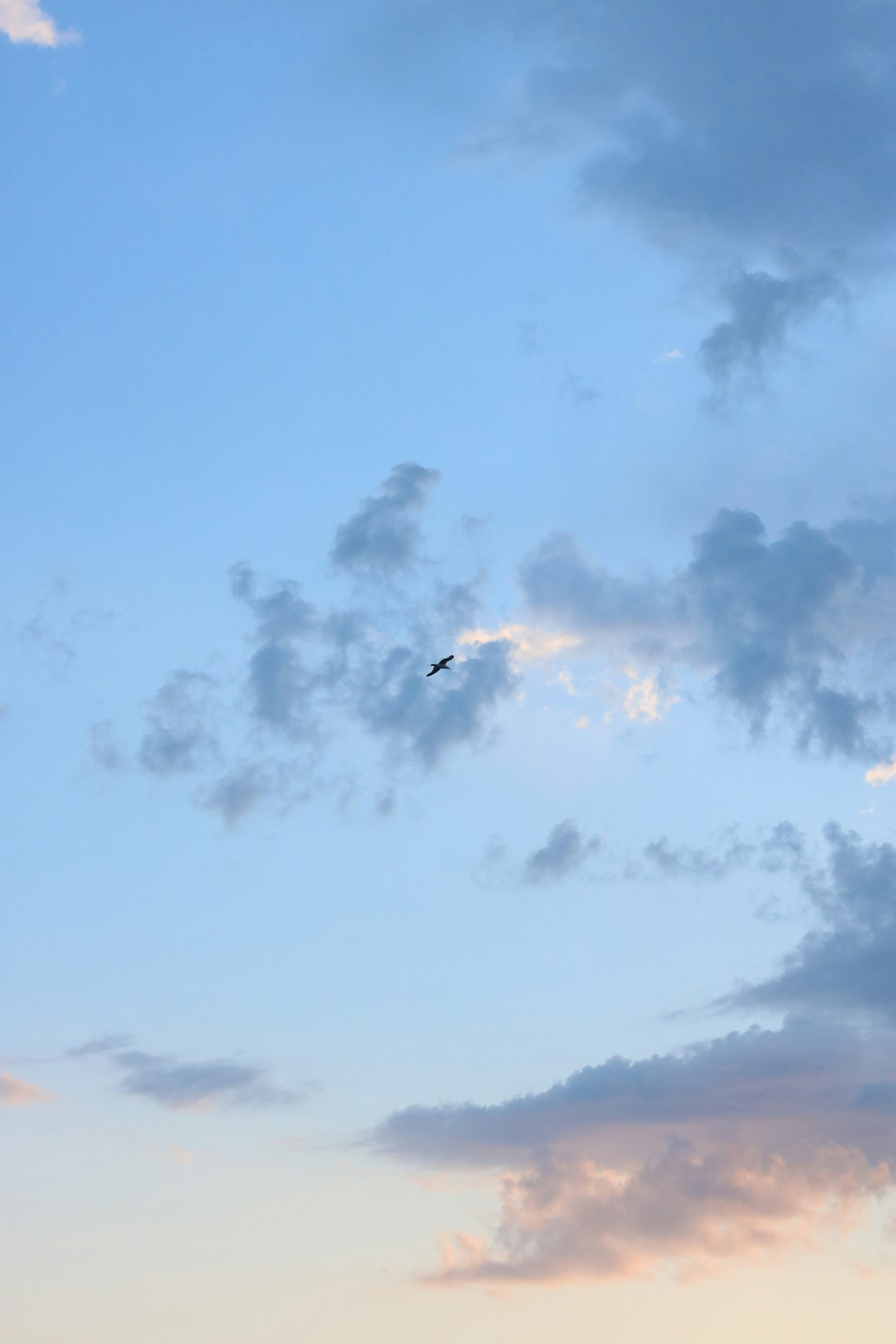 Avia Pictures | Download Free Images on Unsplash