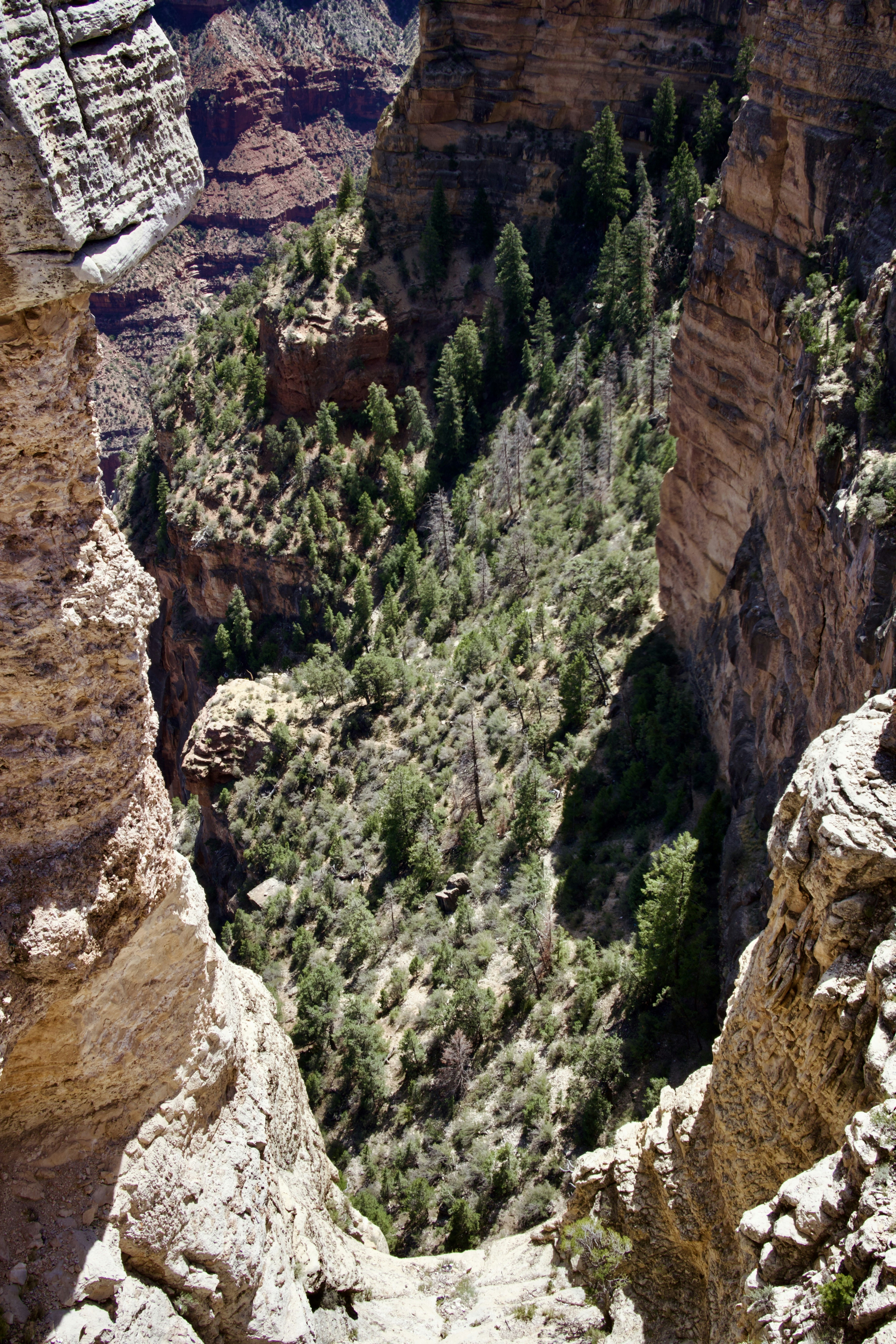 Photo by Zihao Wang with Canon EOS M200