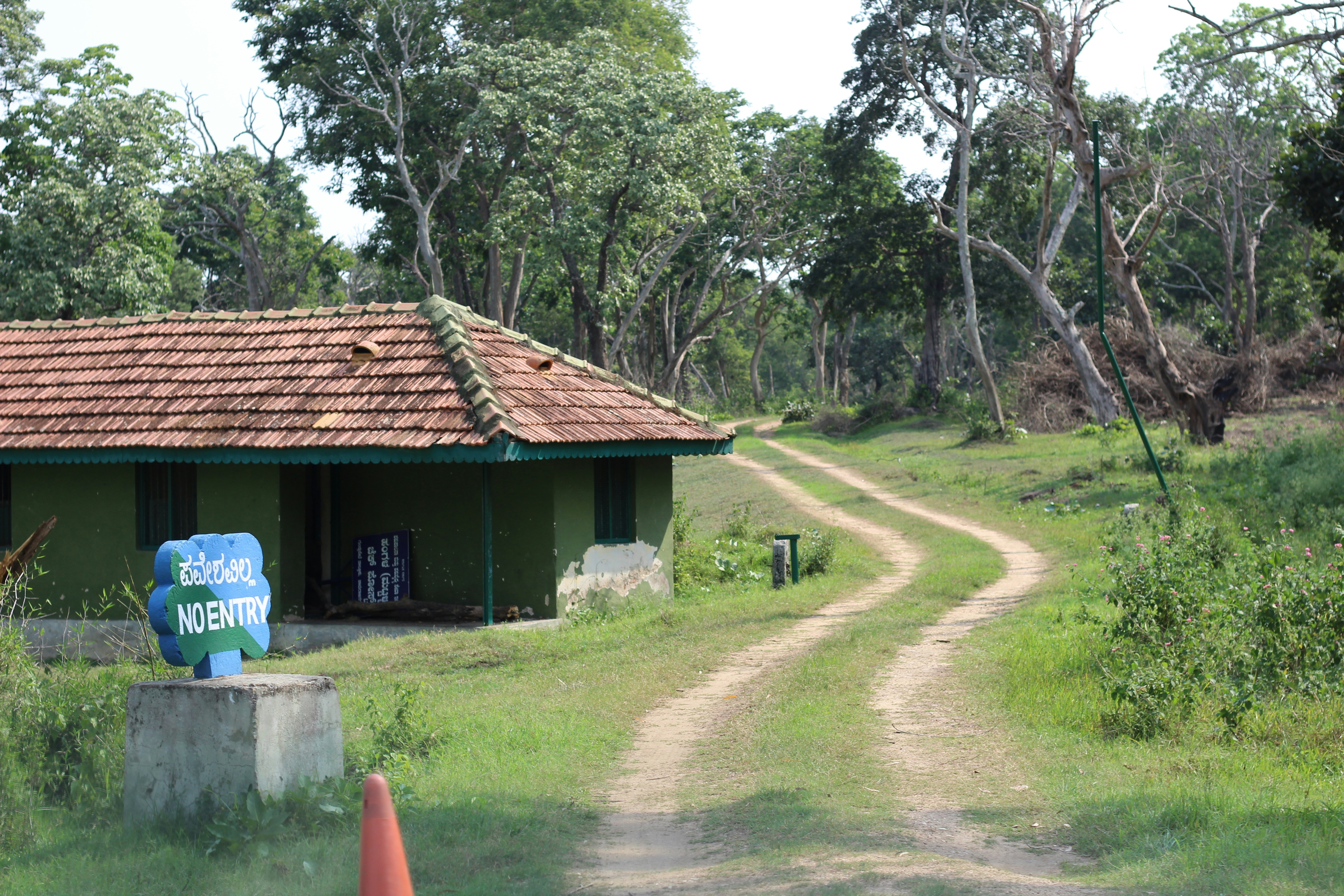 Photo by Aditya Sethia with Canon EOS 1300D