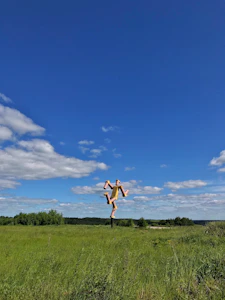 Lone Figure with Joystick-like Sculptures in a Sunlit Grassland