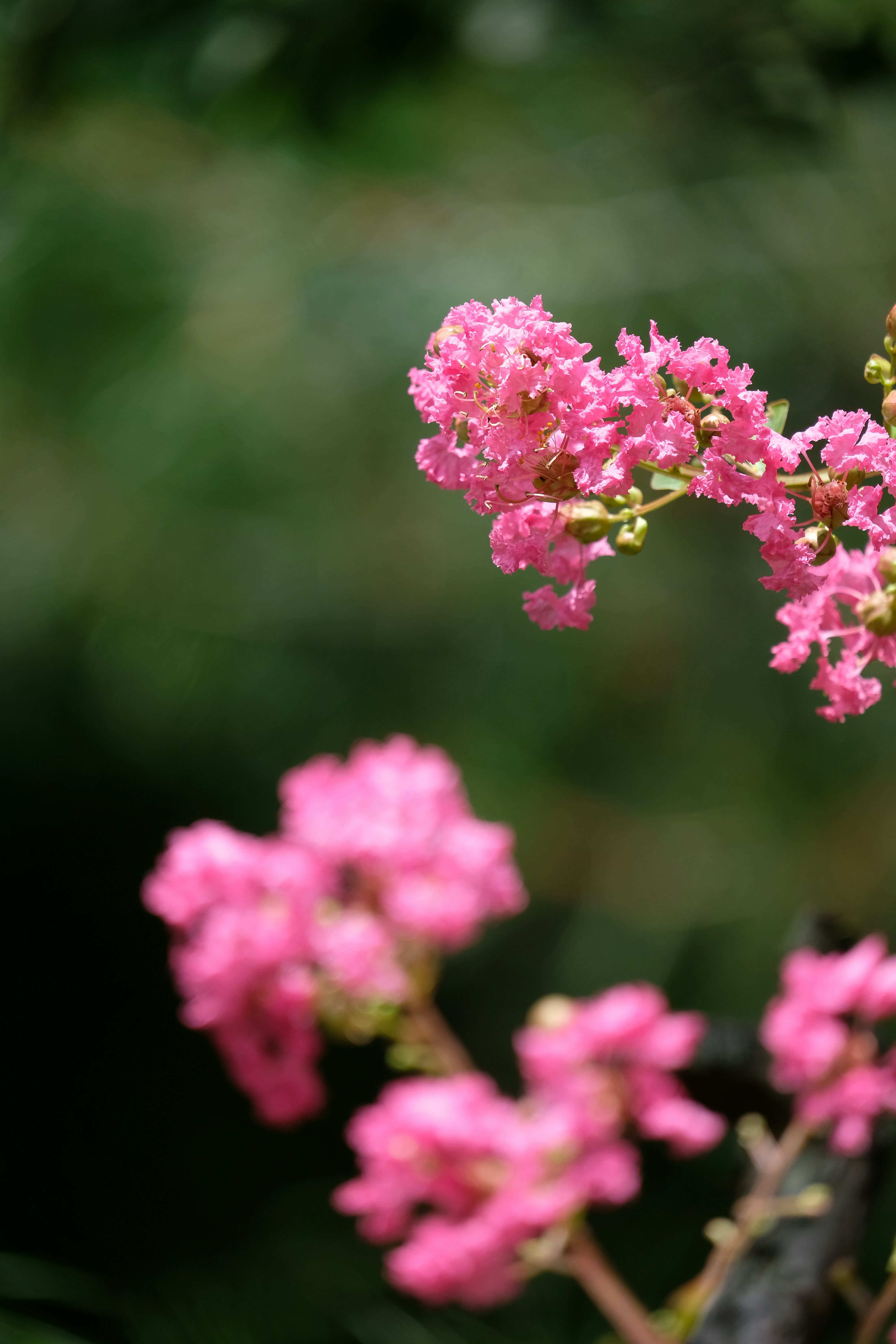 Photo by yiseul han with Fujifilm X-E3