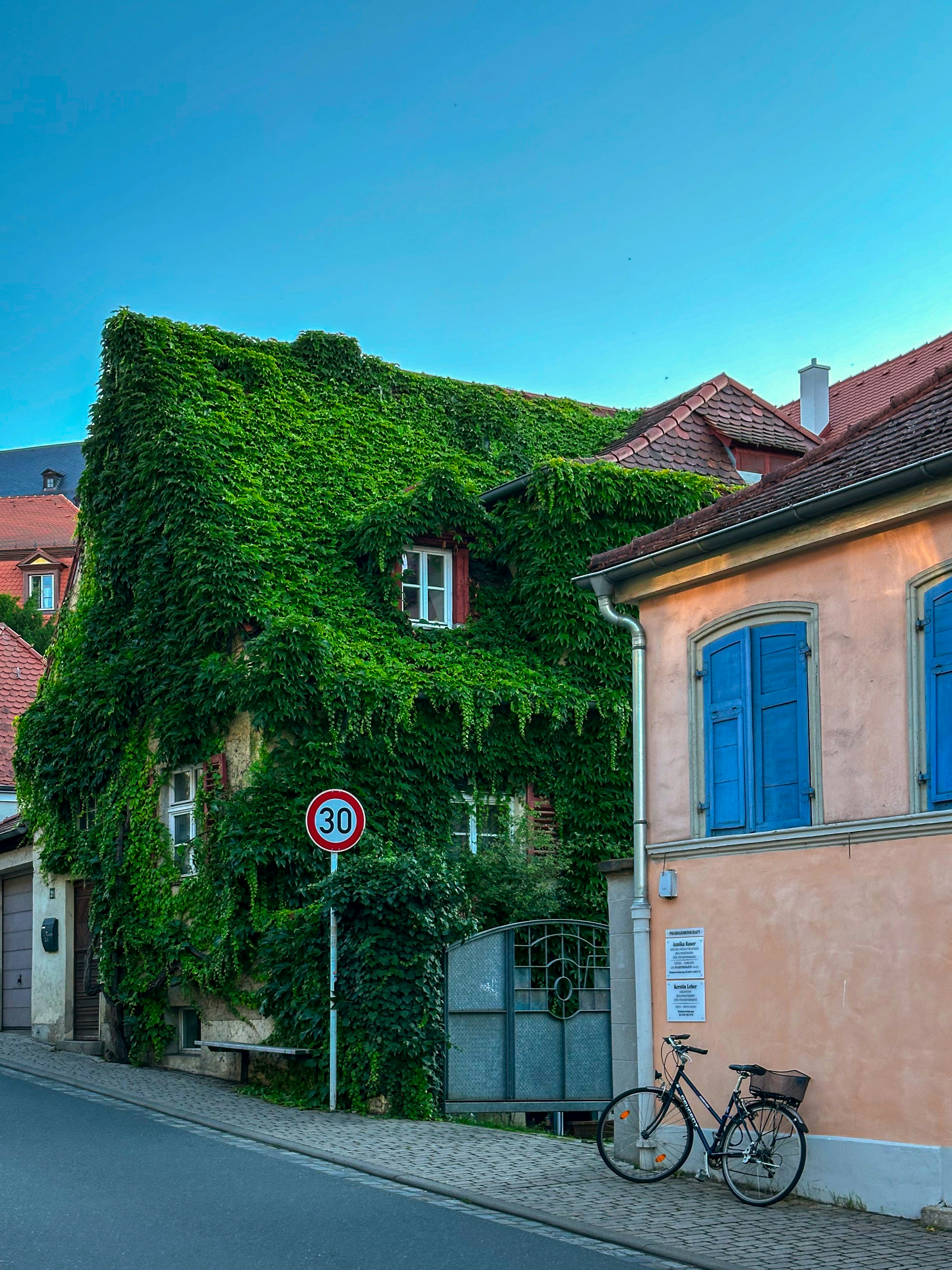 Ivy-Wrapped Facade Framing a Quiet European Street