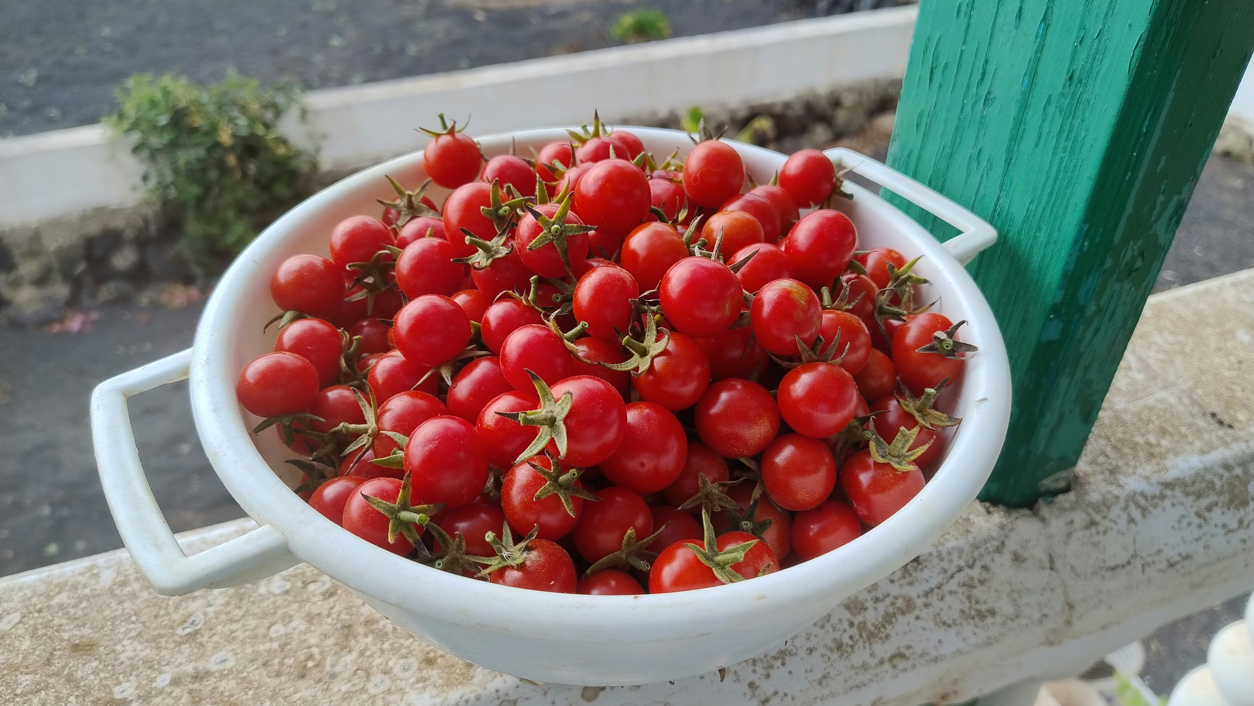 White colander overflowing with bright red cherry tomatoes sits on a stone porch railing, with a teal post in the background.