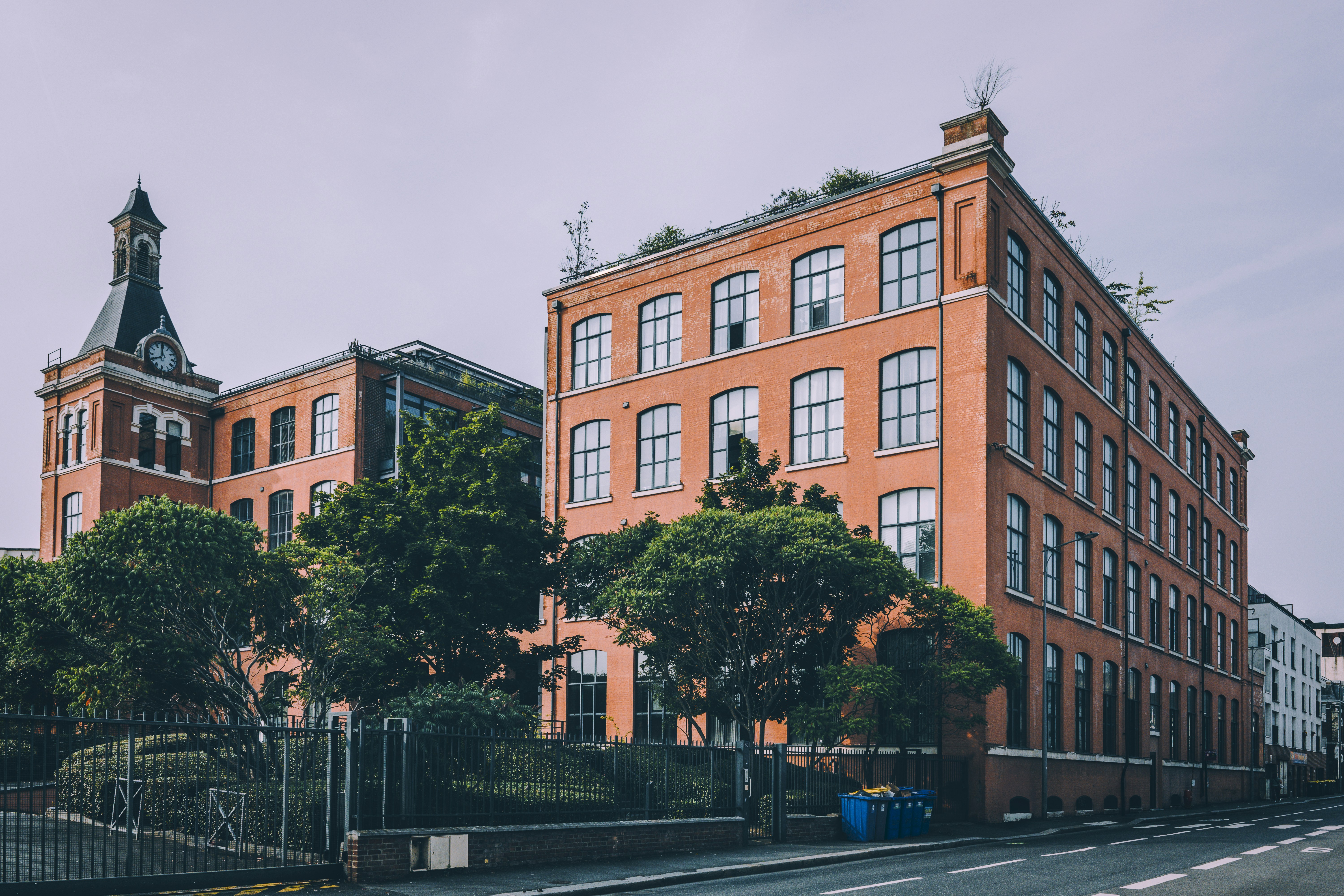 Clock-Tower Campus on a Tree-Lined City Street