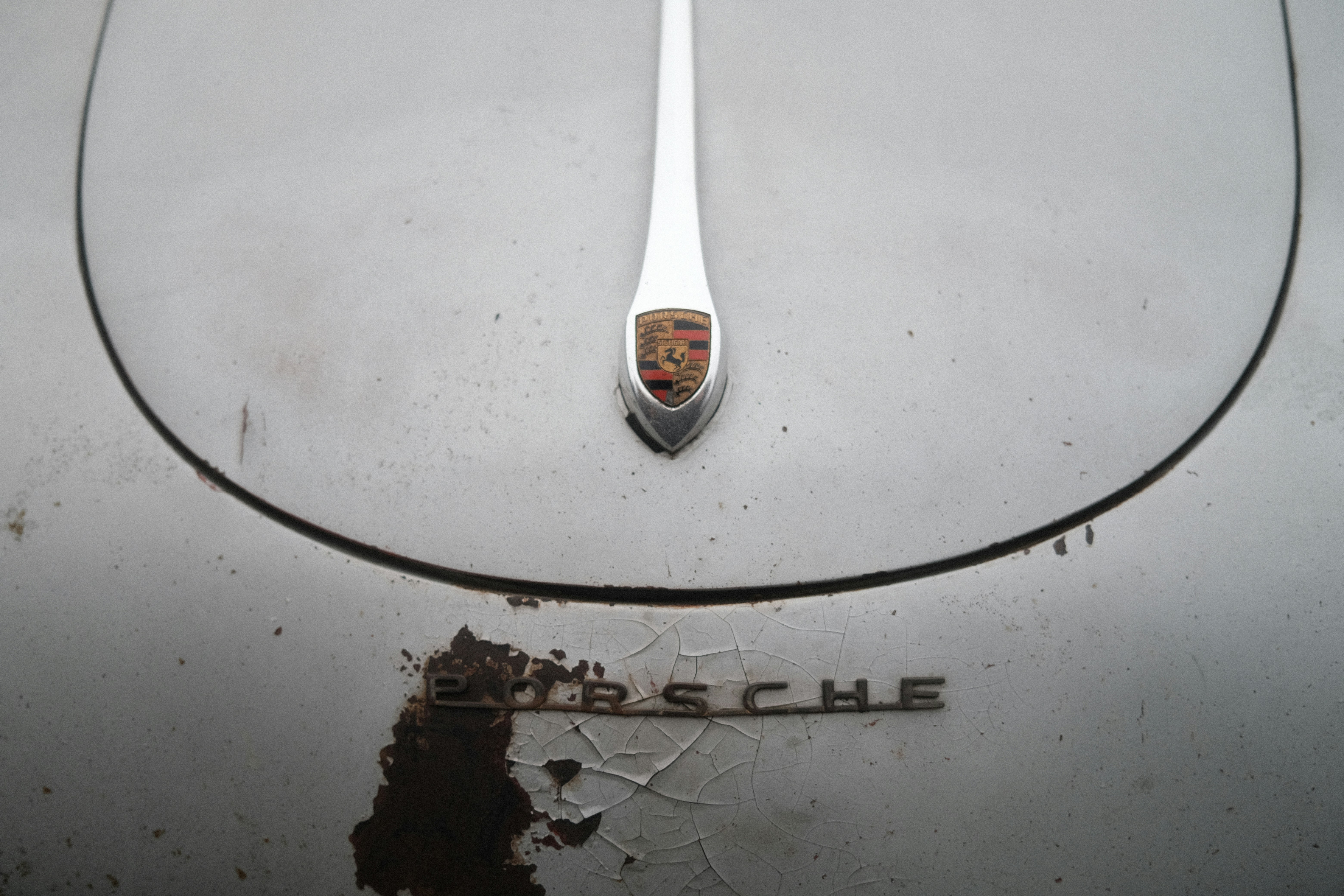 Cracked Crest: Porsche badge peeks through a weathered hood