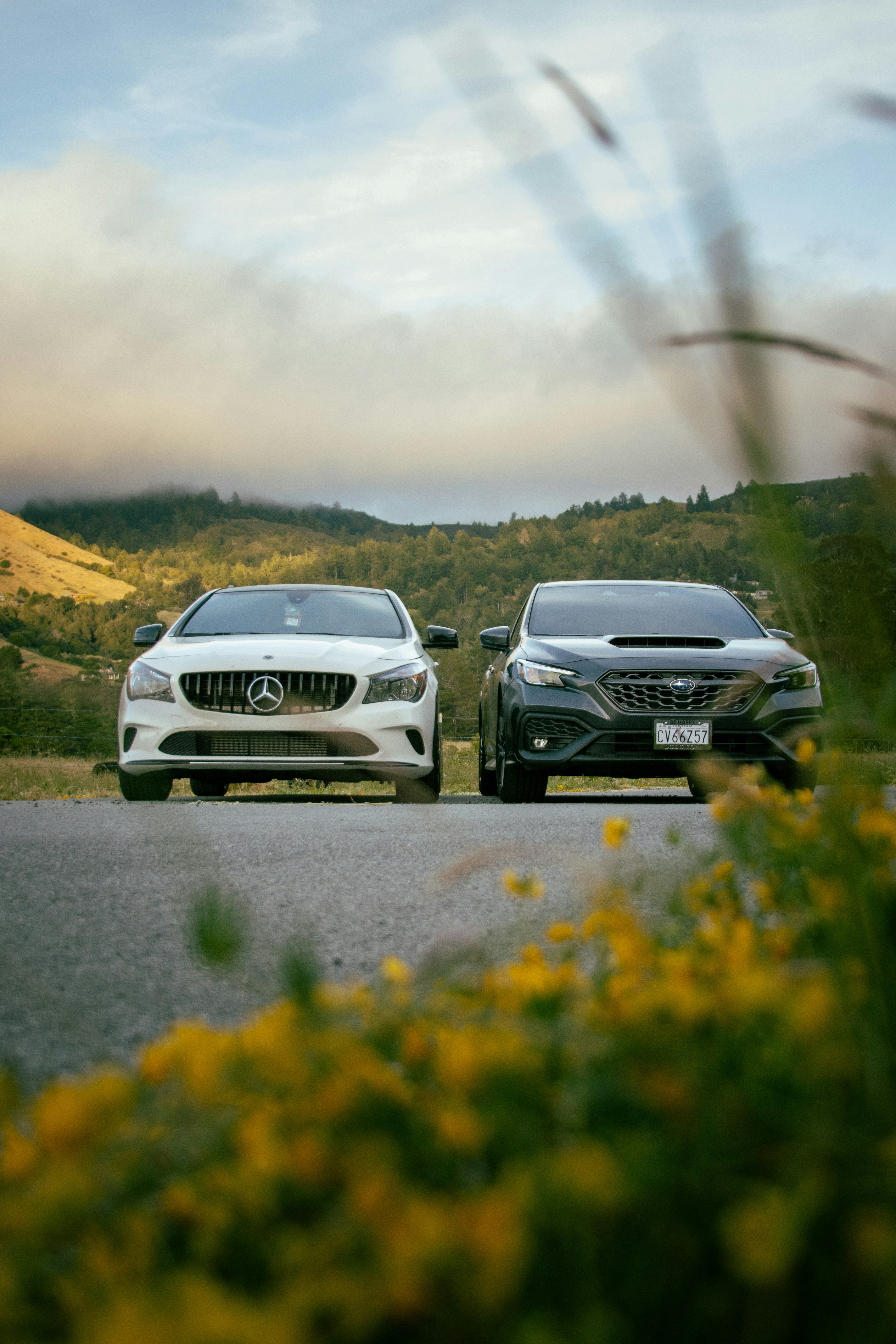 Elegance Meets Performance on Open Roads
