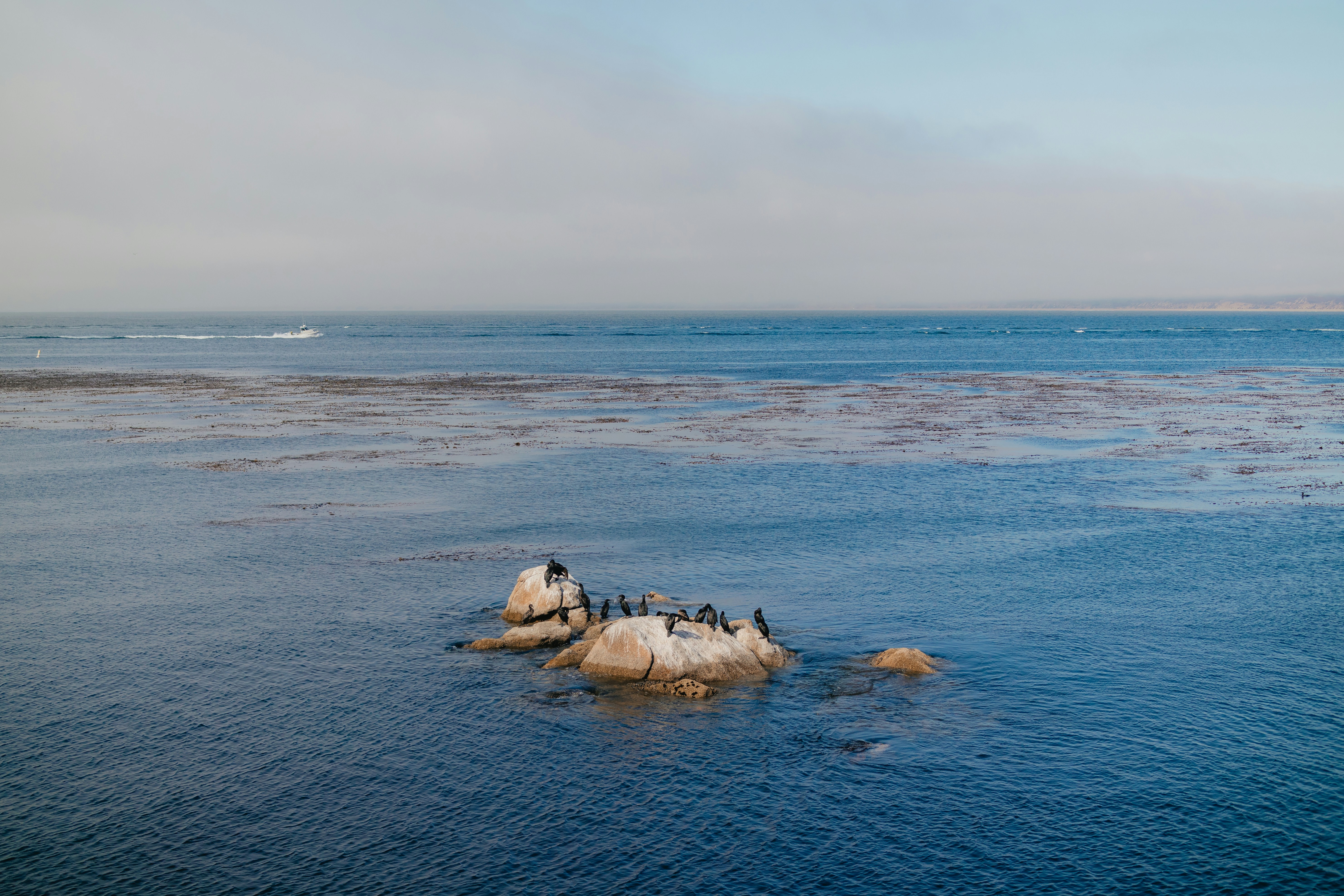 Sea Stack Quiet: Birds at Rest on Blue Horizon