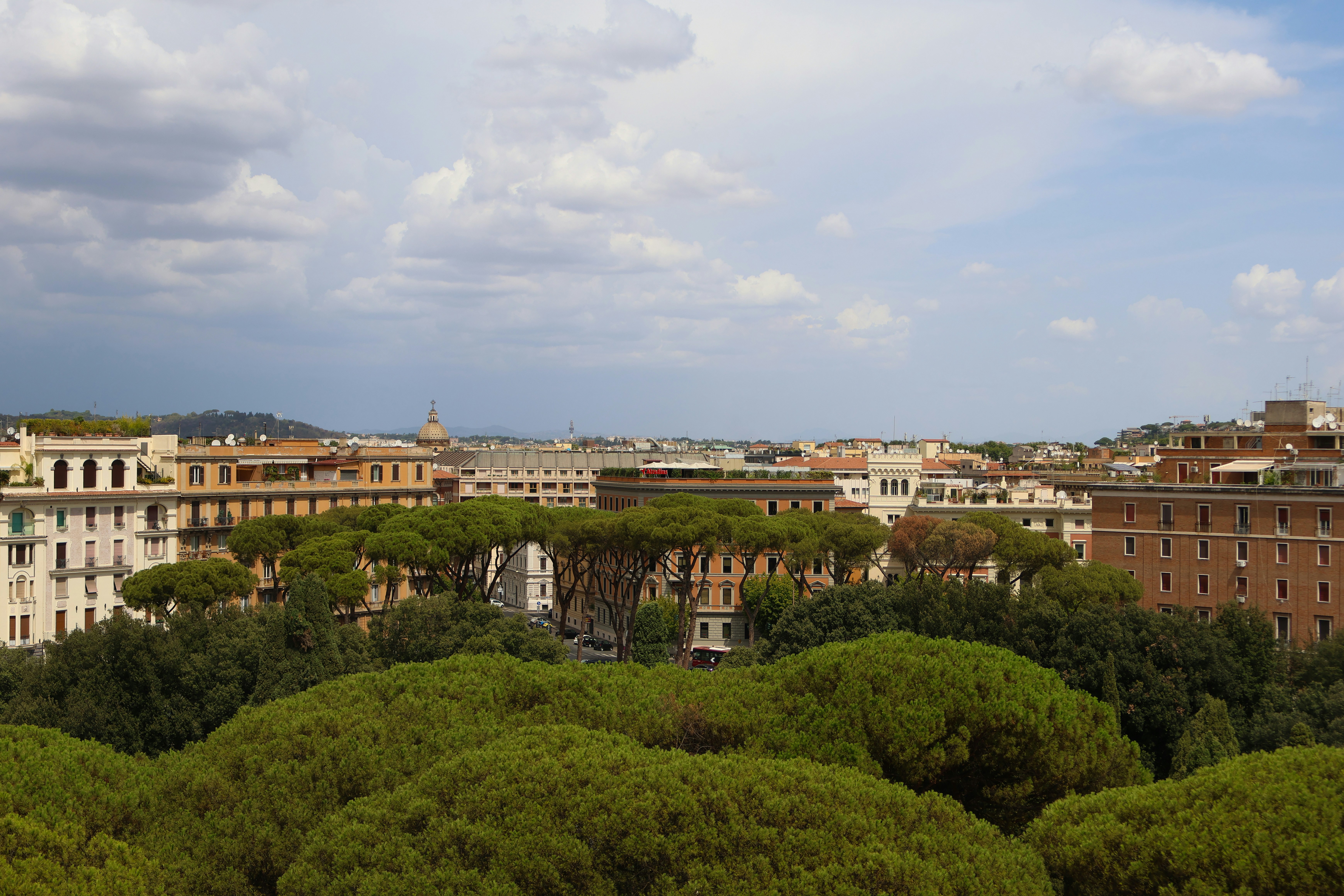 Photo by Aleksander Stypczynski with Canon EOS R7