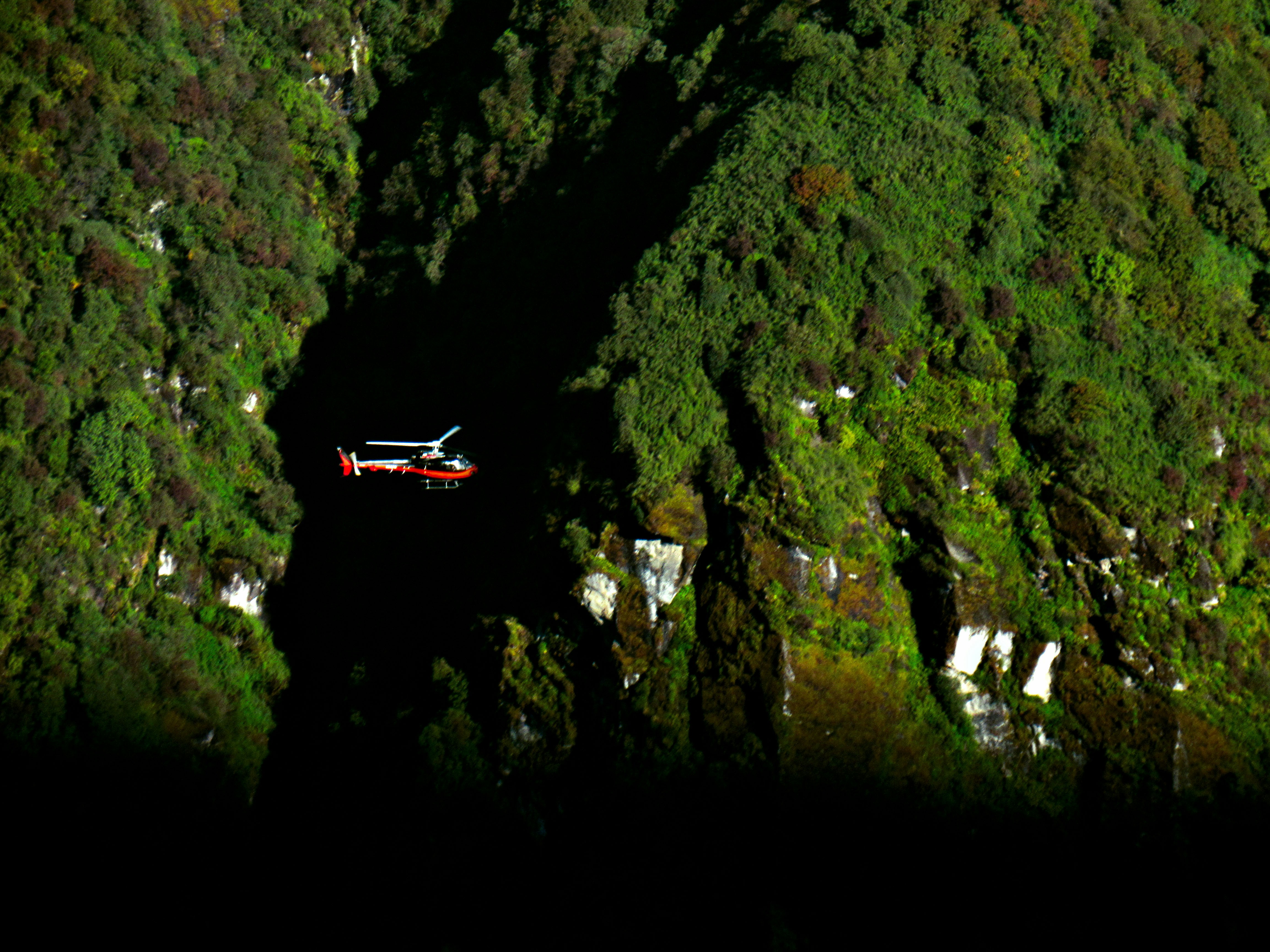 An aerial view of a plane flying over a forest photo – Free Kaski Image ...