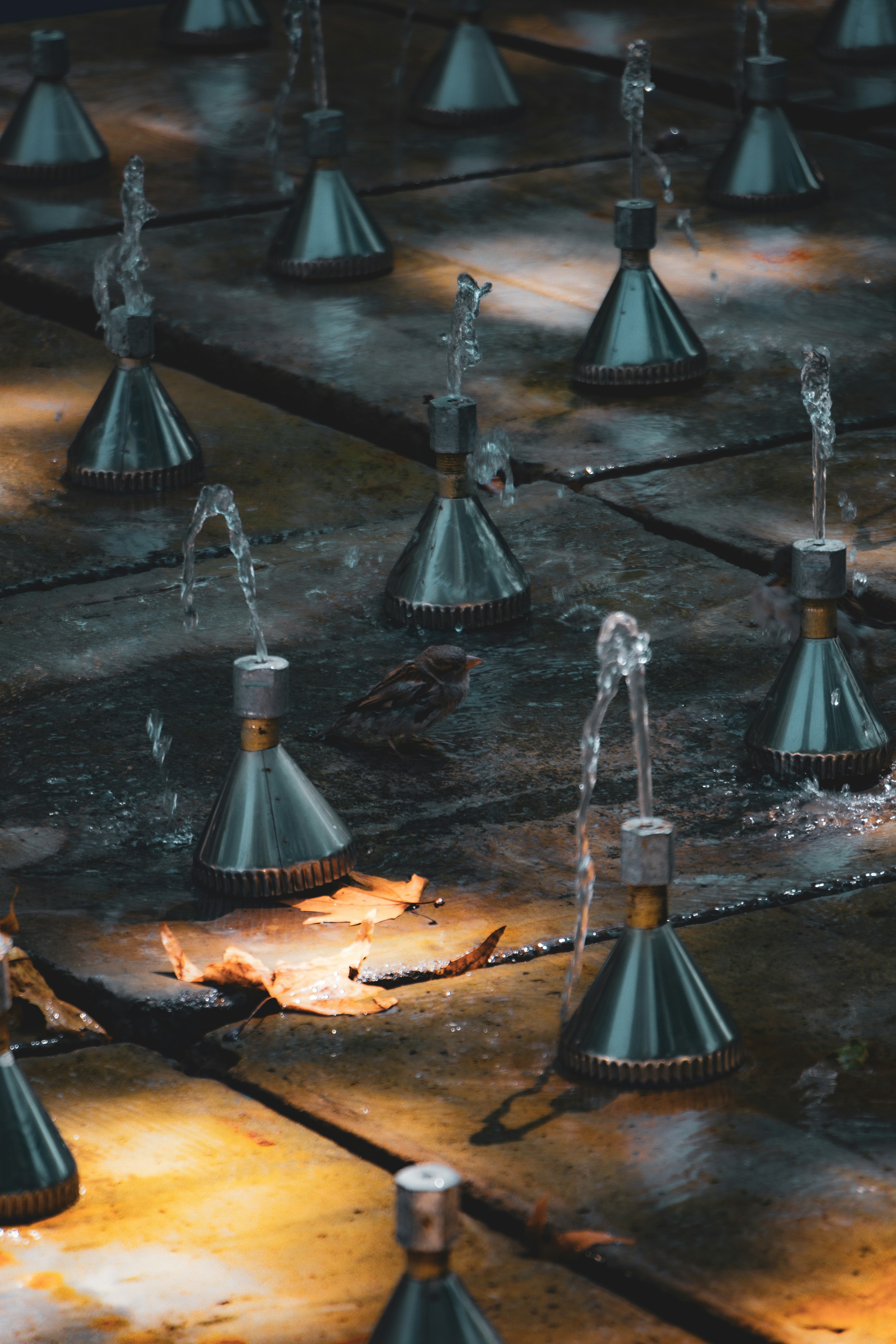 A bunch of water spewing out of a fountain photo – Free Armenia Image ...