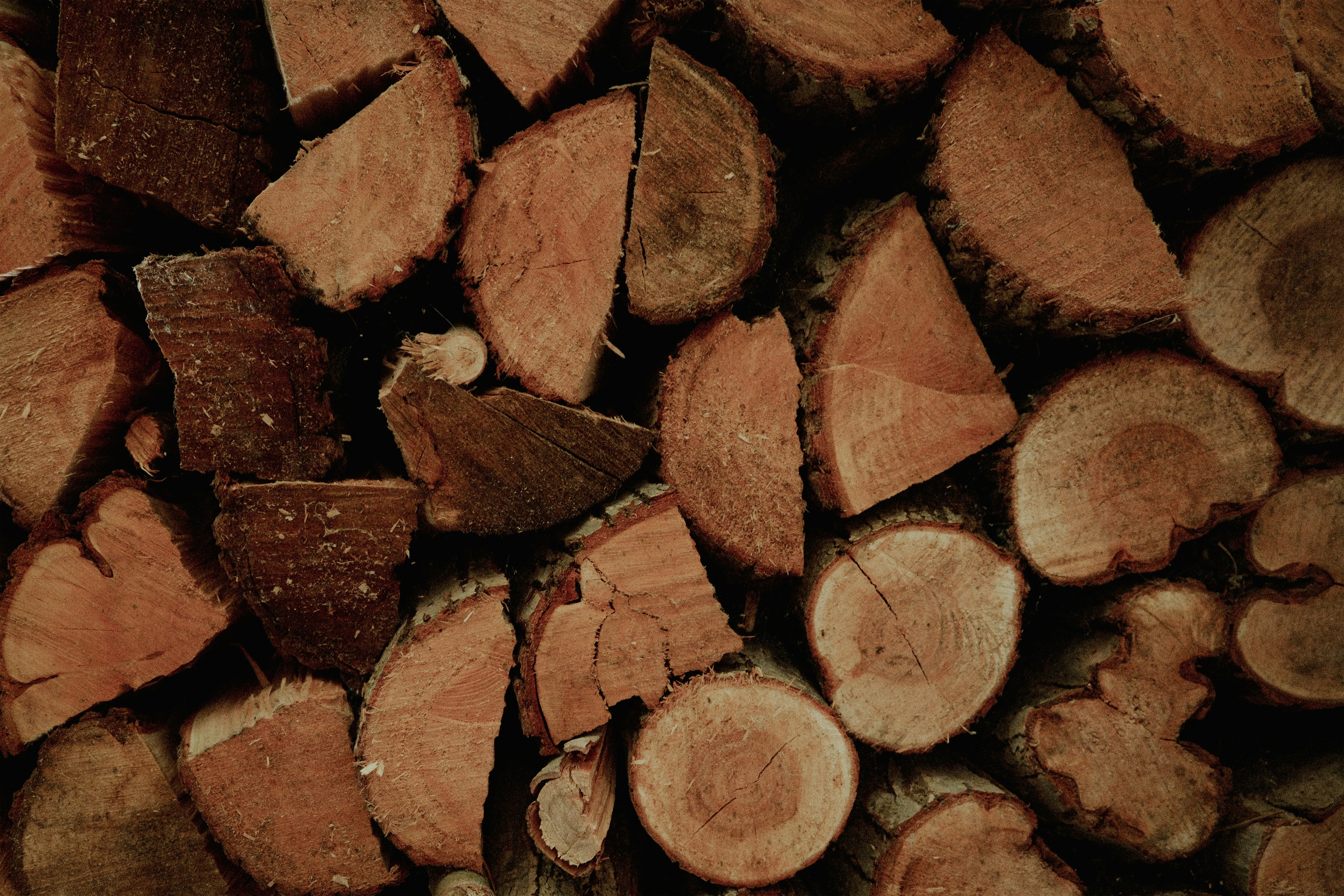 Natural Wood Pictures | Download Free Images on Unsplash