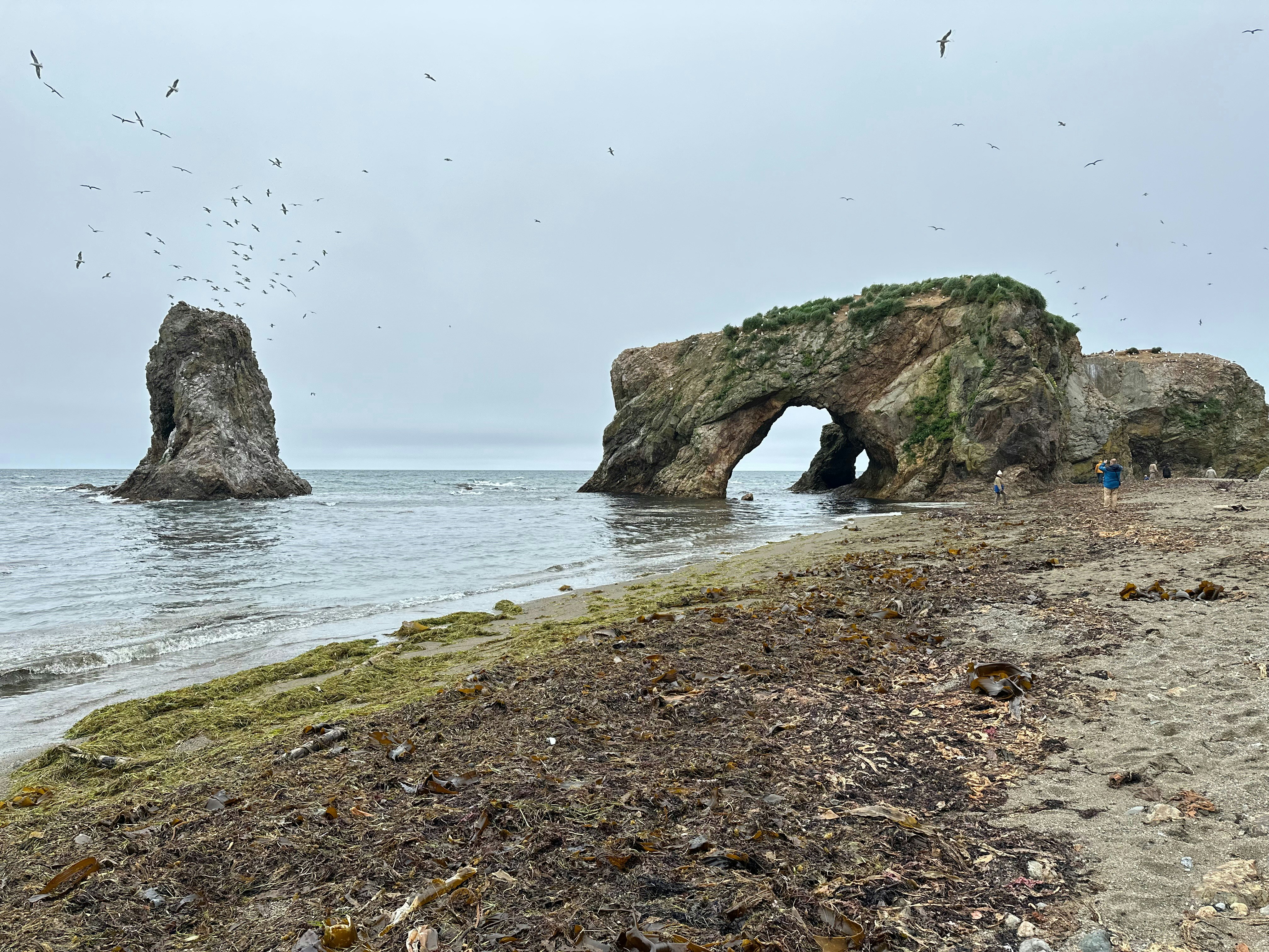Arch and Gull Chorus over a Quiet Coastal Shore