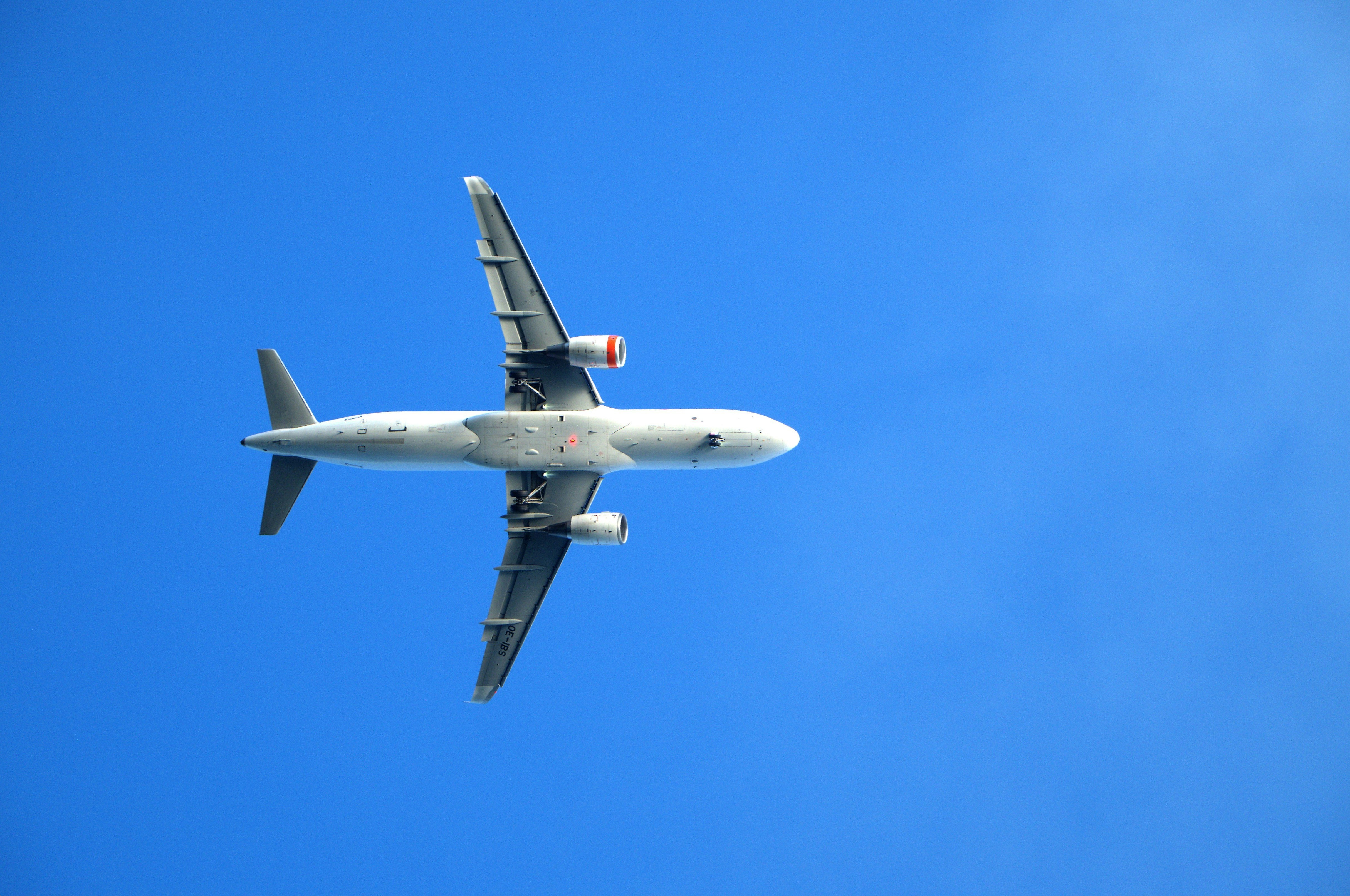A large jetliner flying through a blue sky photo – Free Olbia Image on ...