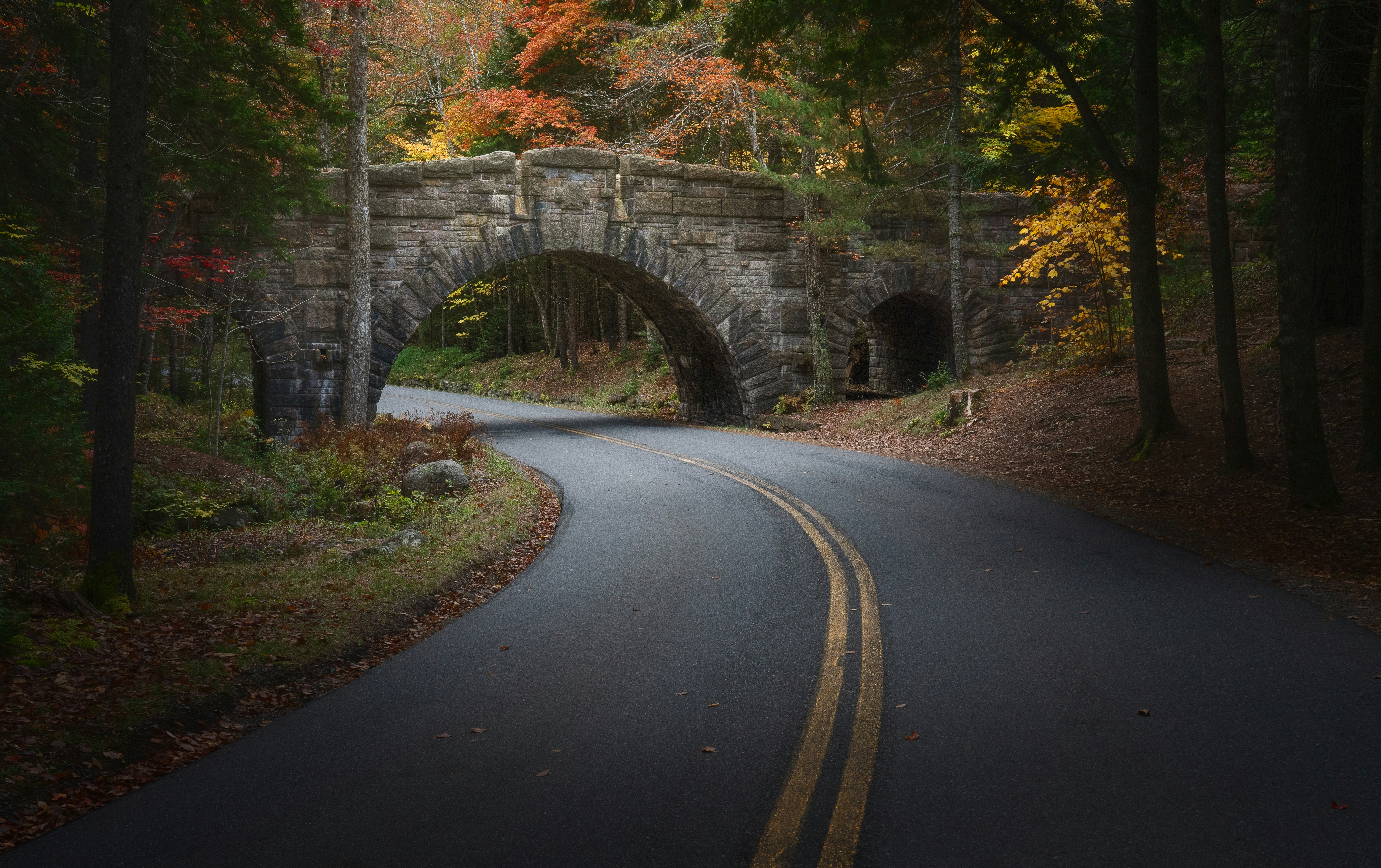 Autumn Arc Under the Stone Bridge: A Quiet Winding Road