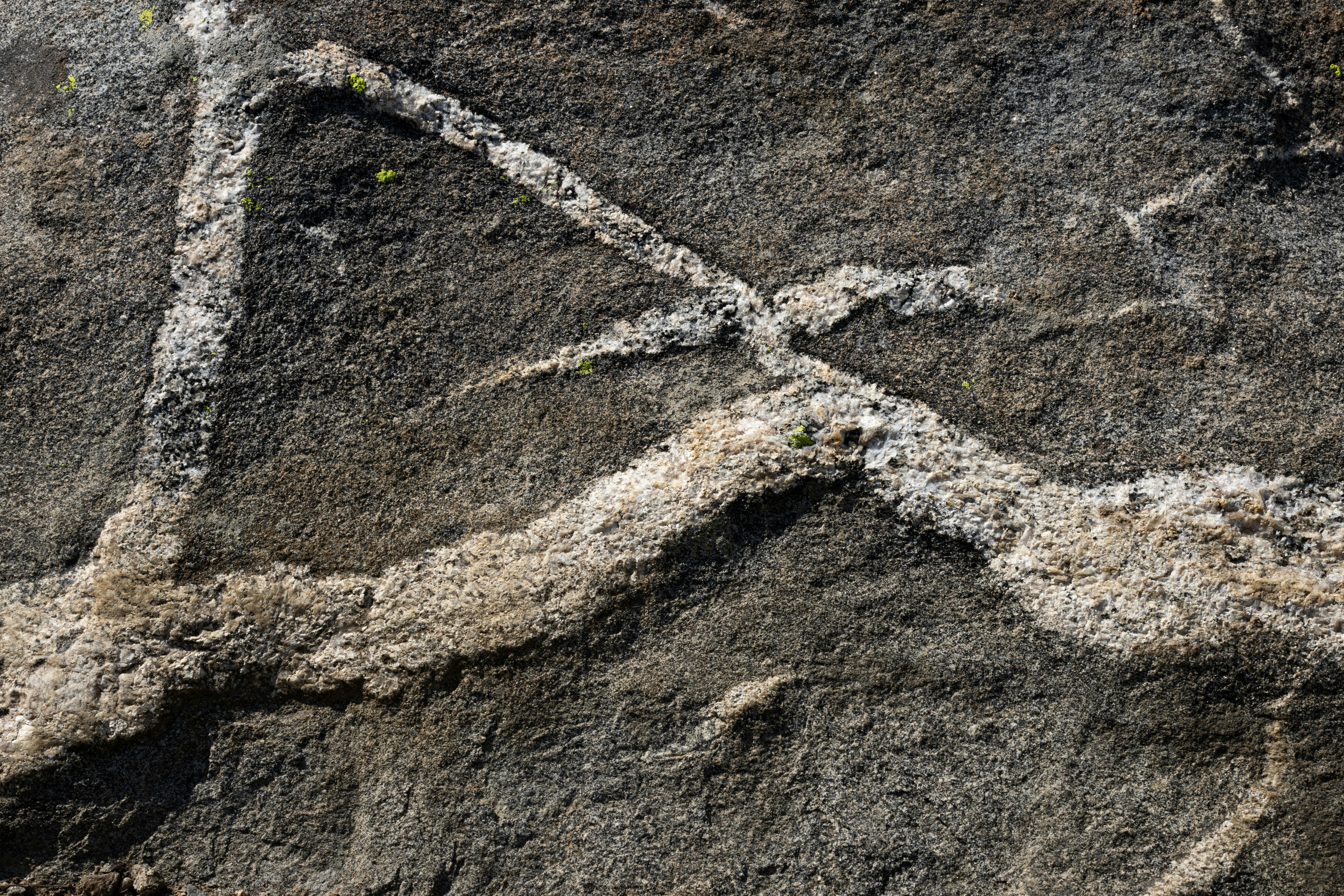 Ancient Stories Etched in Stone