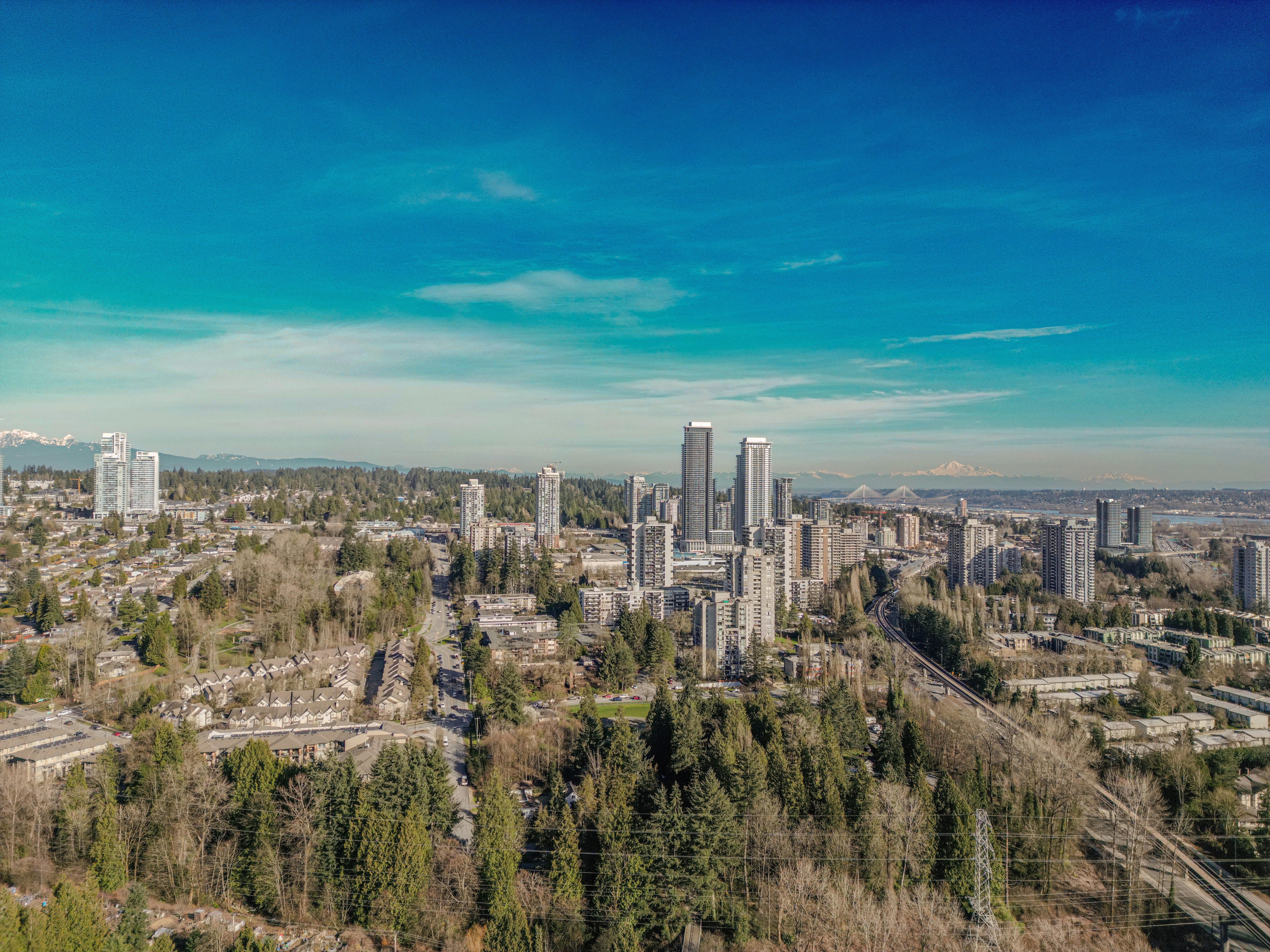 Tower Crown Rising Over a Tree-Fringed Cityscape