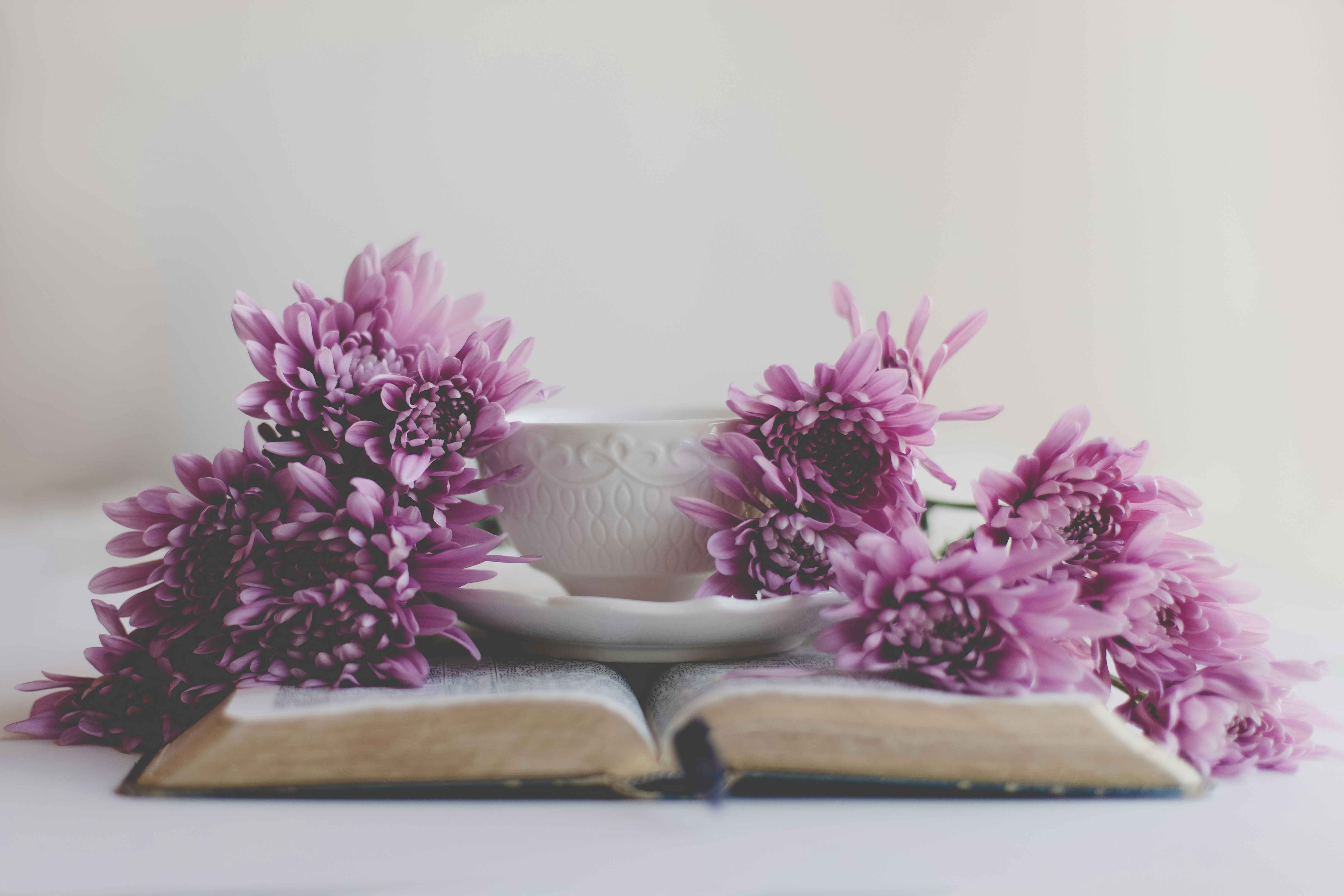 Un libro abierto con flores encima foto – Imagen de Morado gratuita en ...