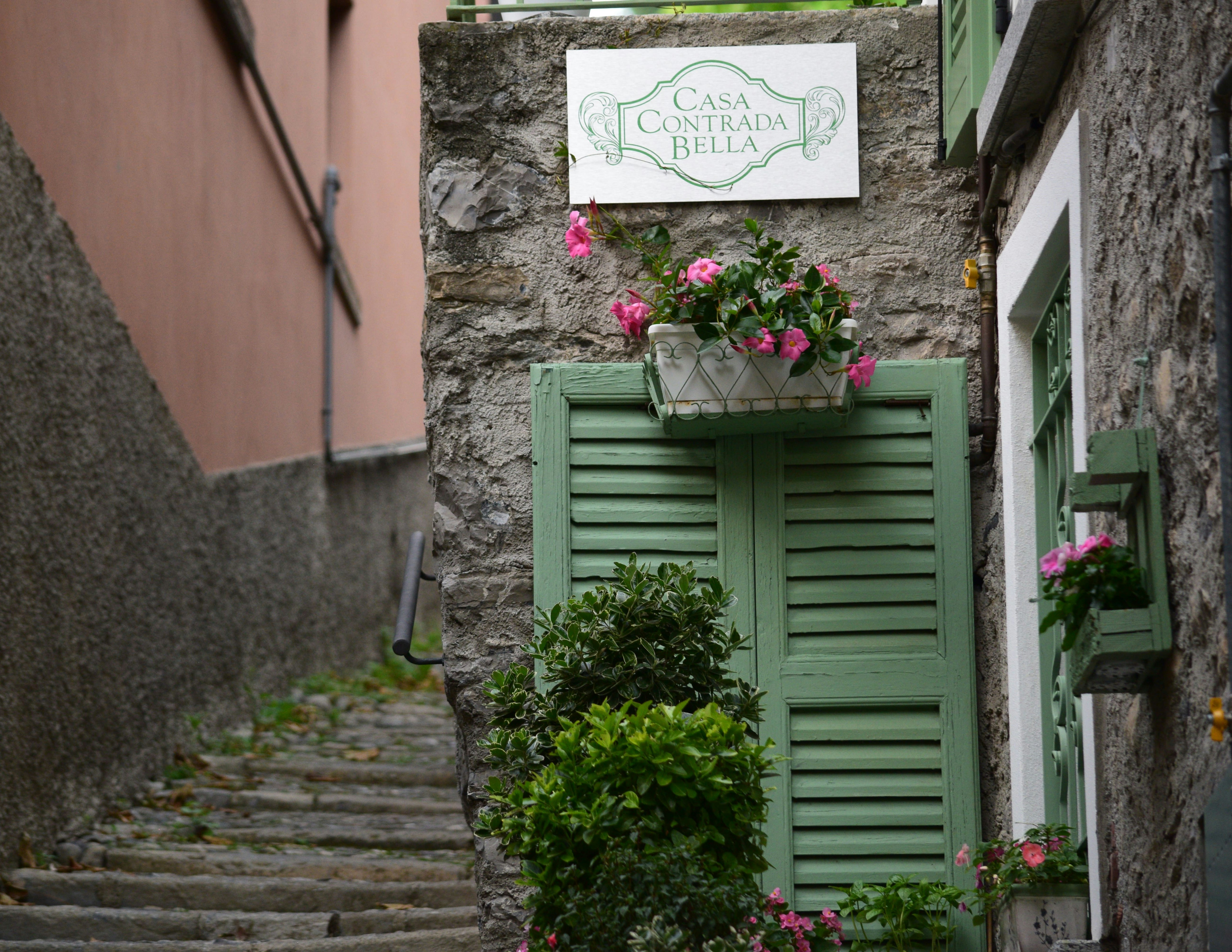 Green Shuttered Gate Beneath Rustic Stone Staircase