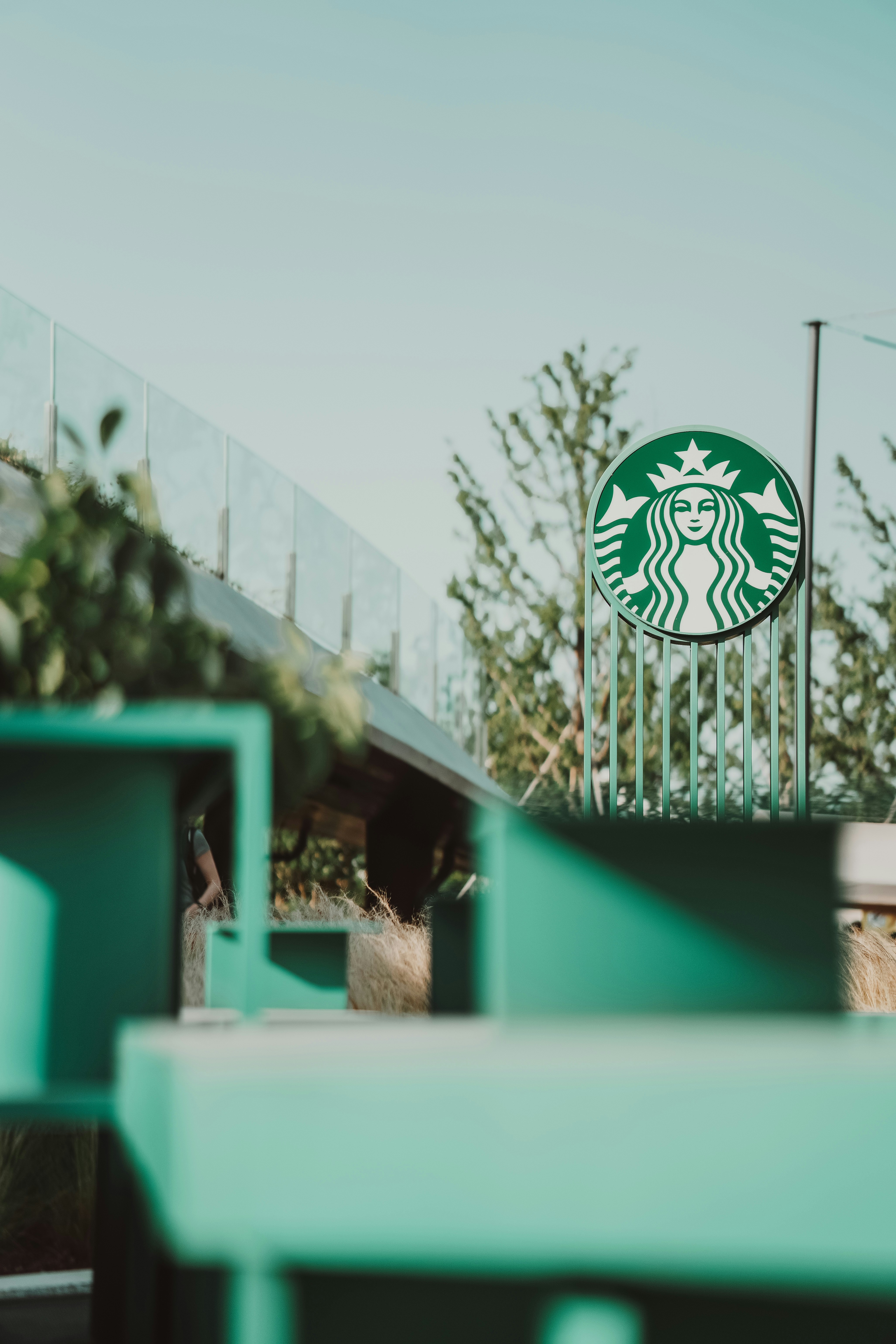 Emerald Roundel Among Green Geometry: A Starbucks Sign in Soft Focus