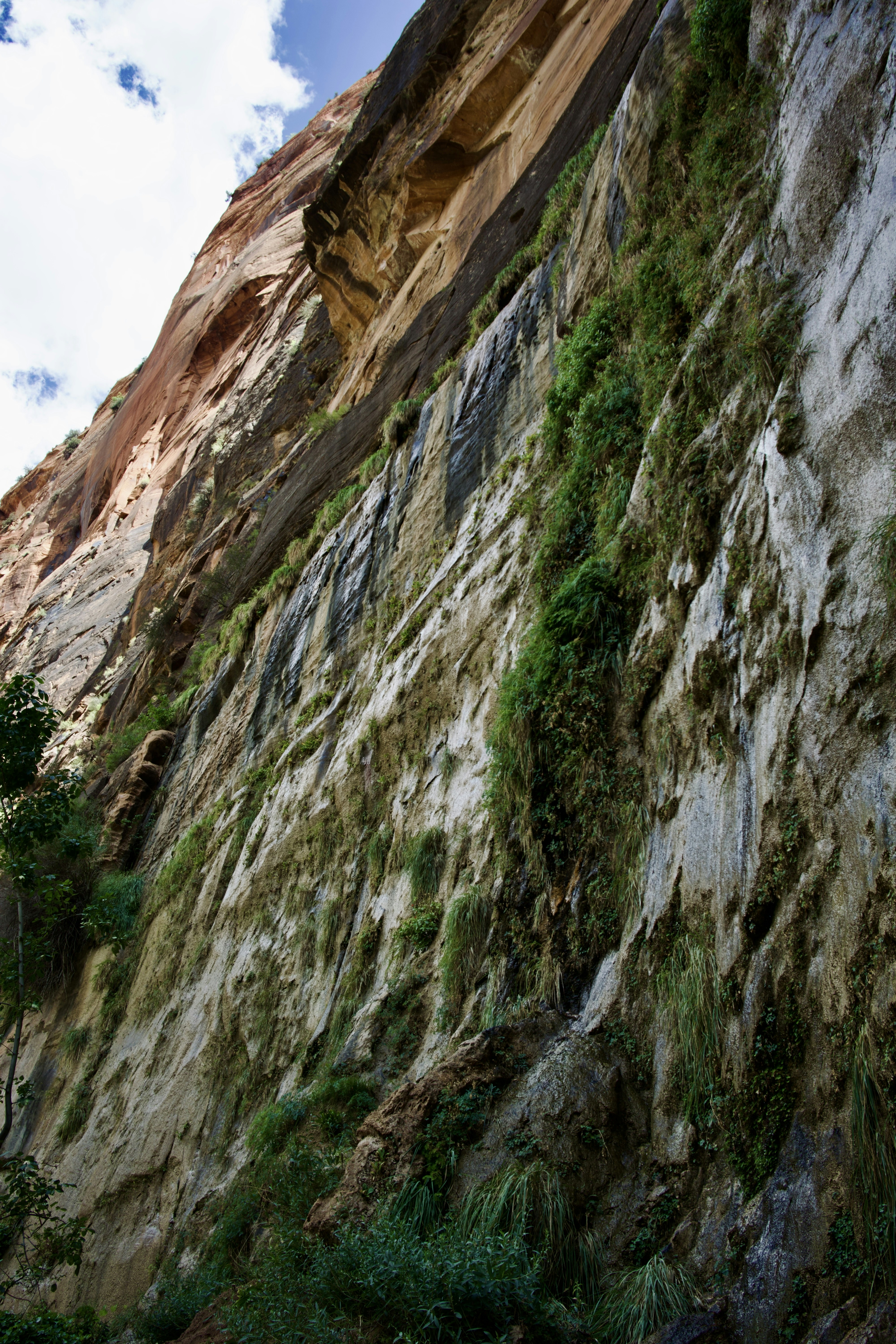 Photo by Zihao Wang with Canon EOS M200