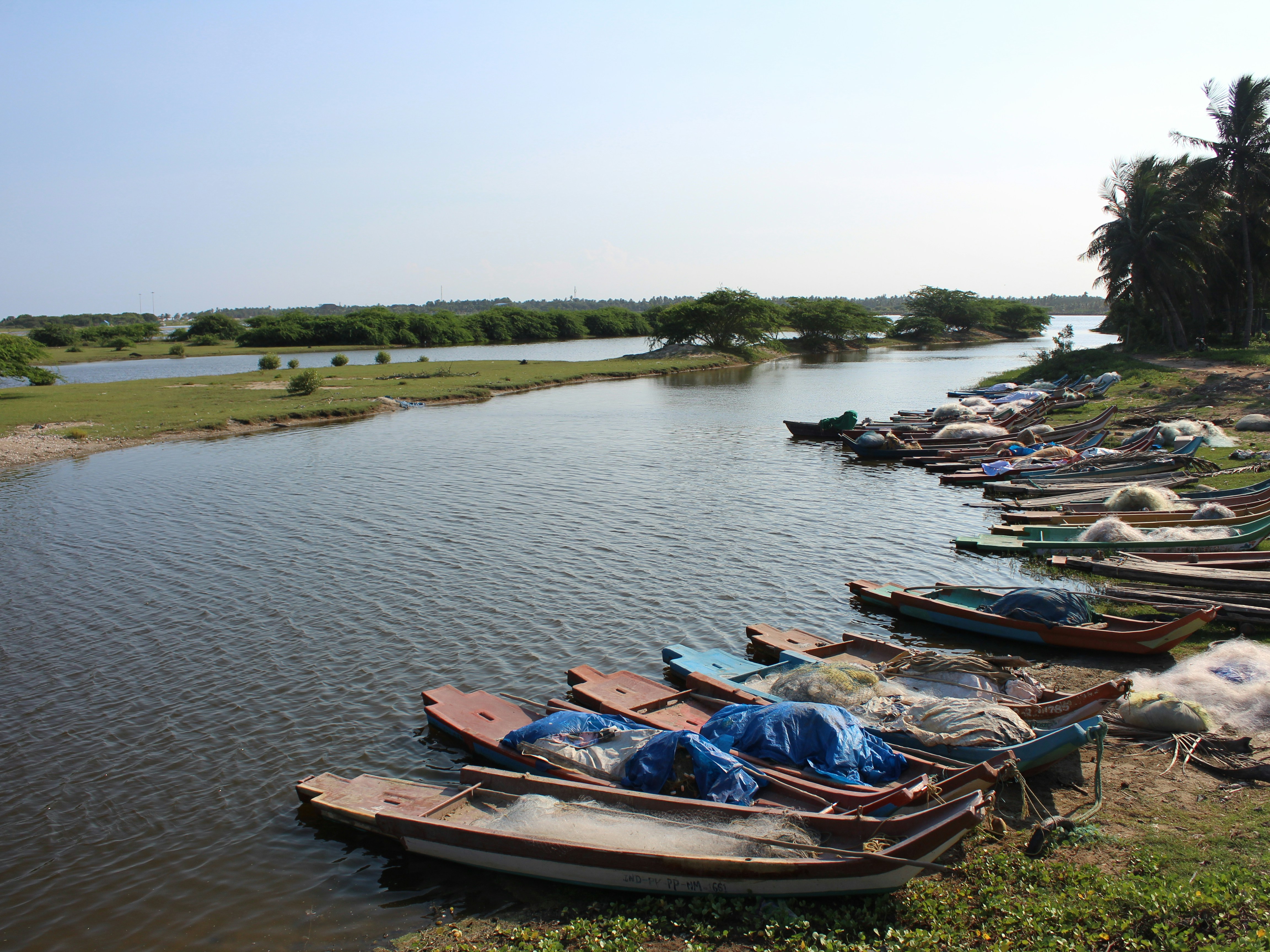 Blue-Tarped Boats Line the Quiet Riverbank
