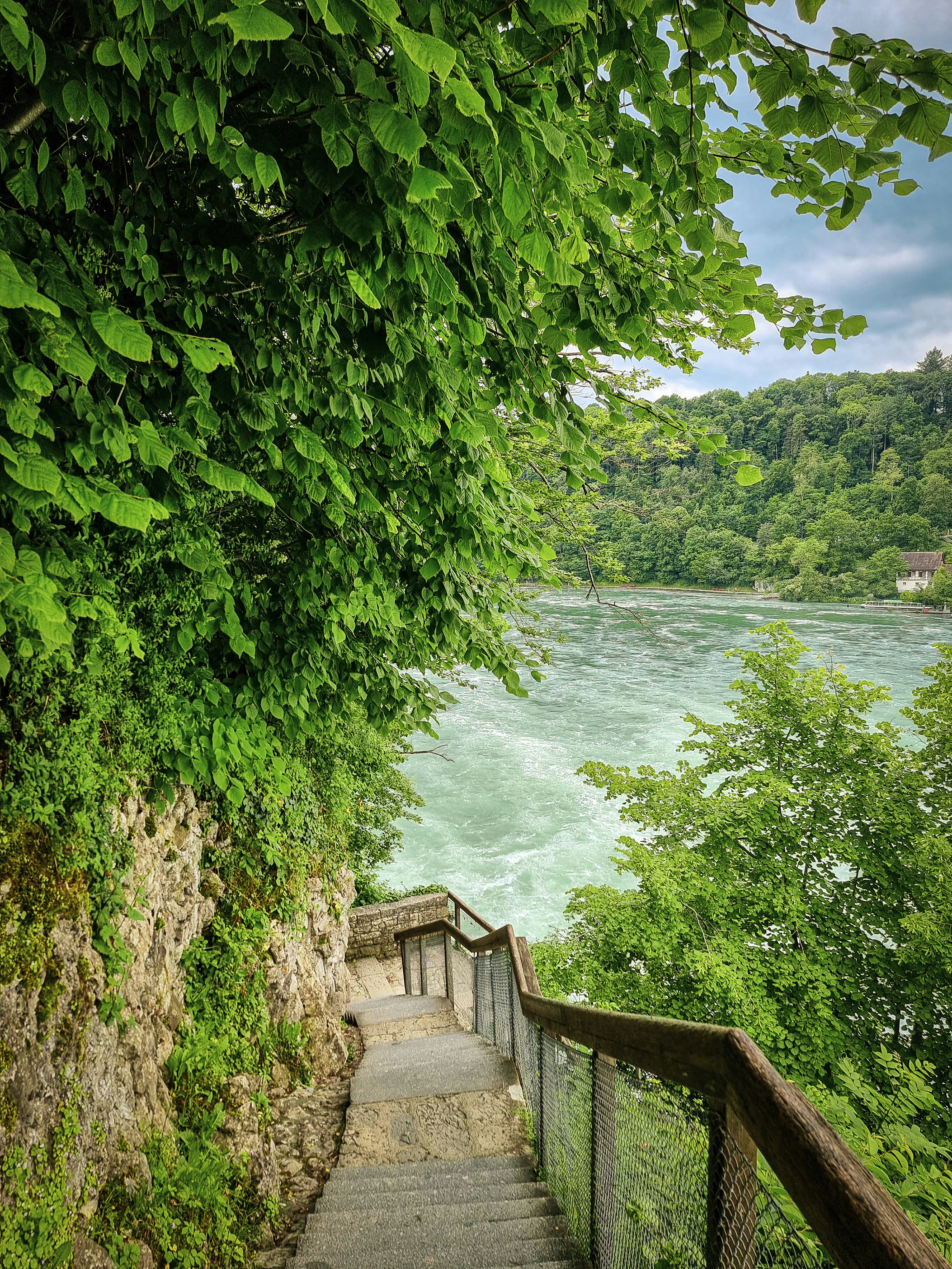 Verdant Staircase Overlooking the Turquoise River Gorge