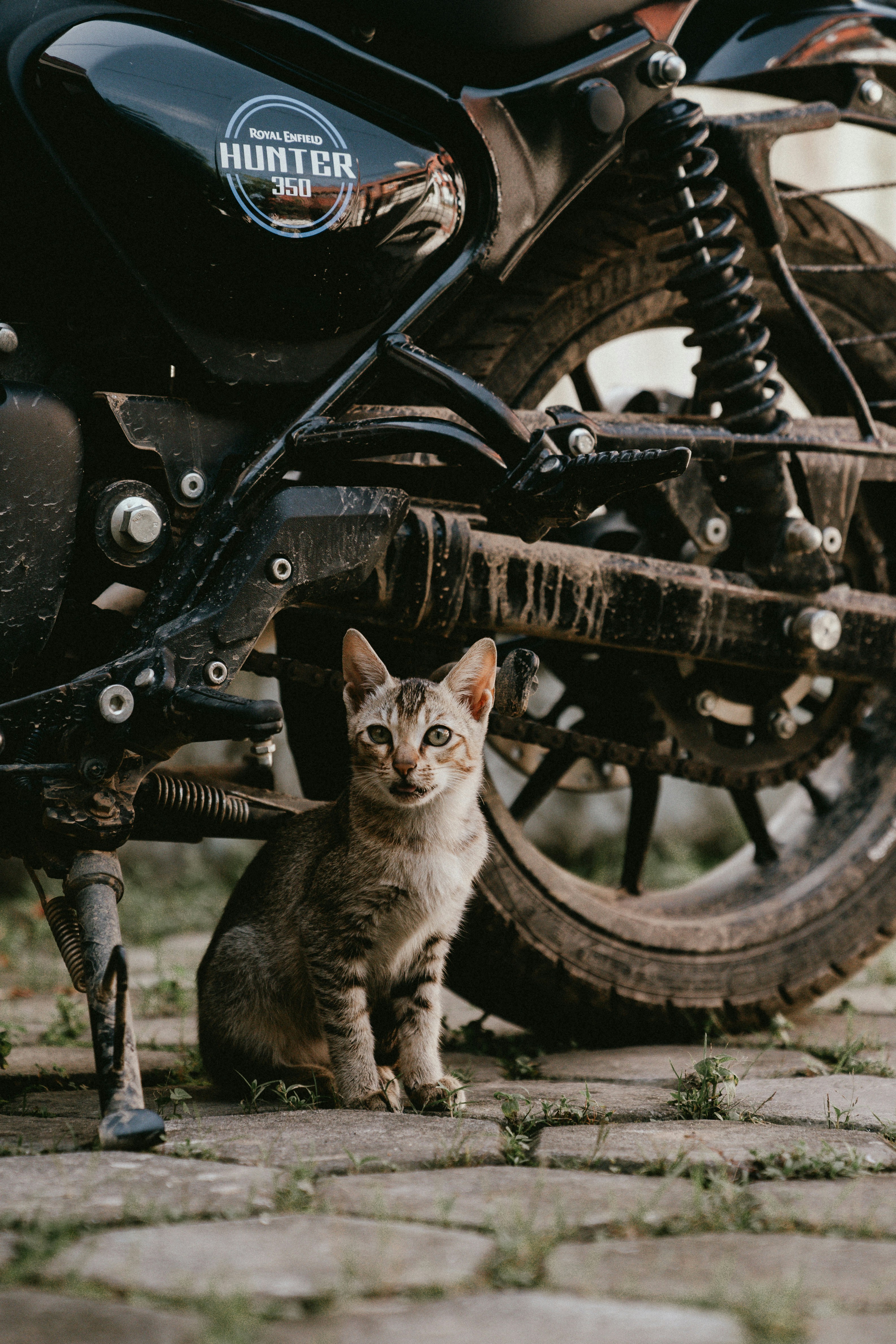 Photo by Frederick Shaw with Sony Alpha 7 III