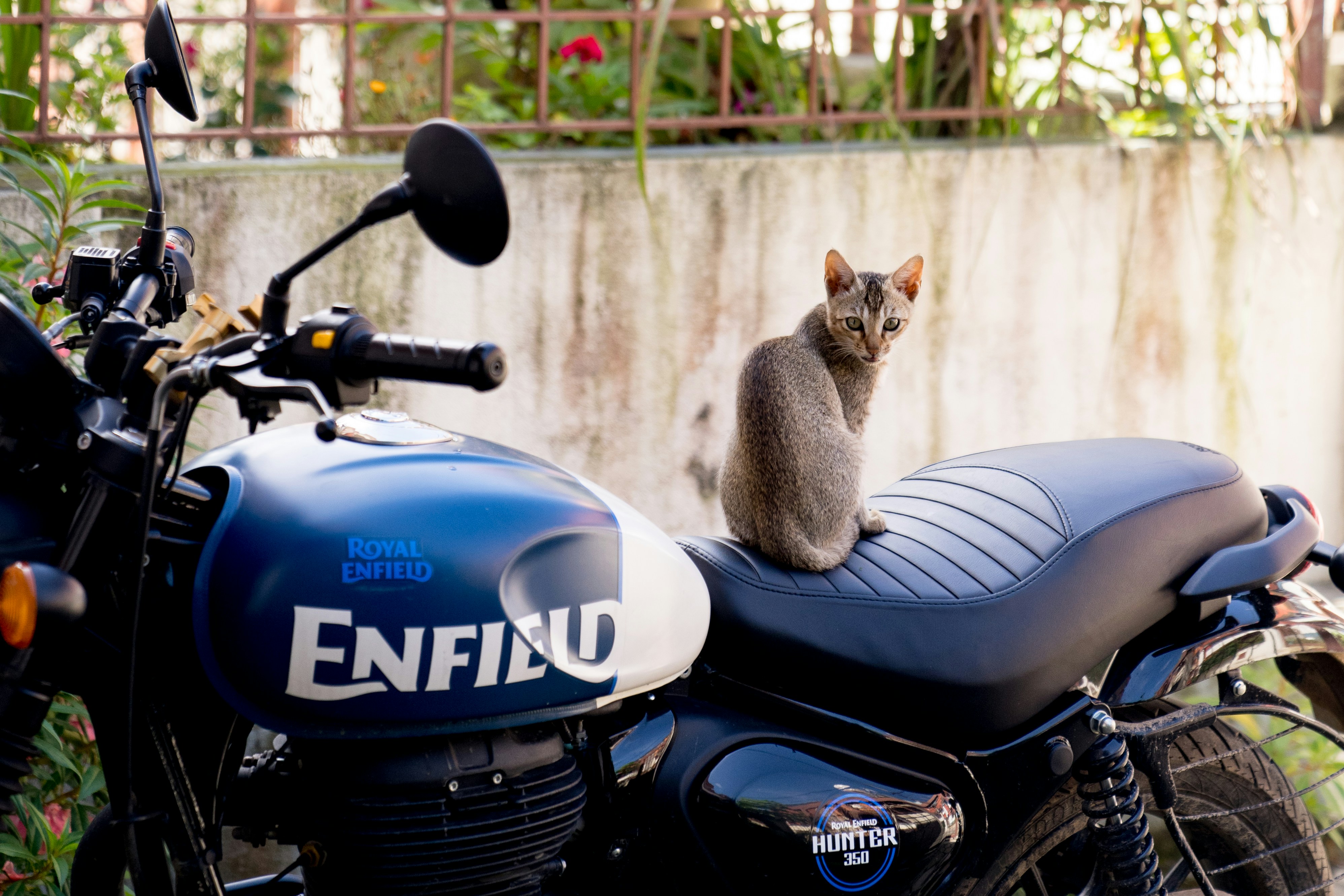 Photo by Frederick Shaw with Sony Alpha 7 III