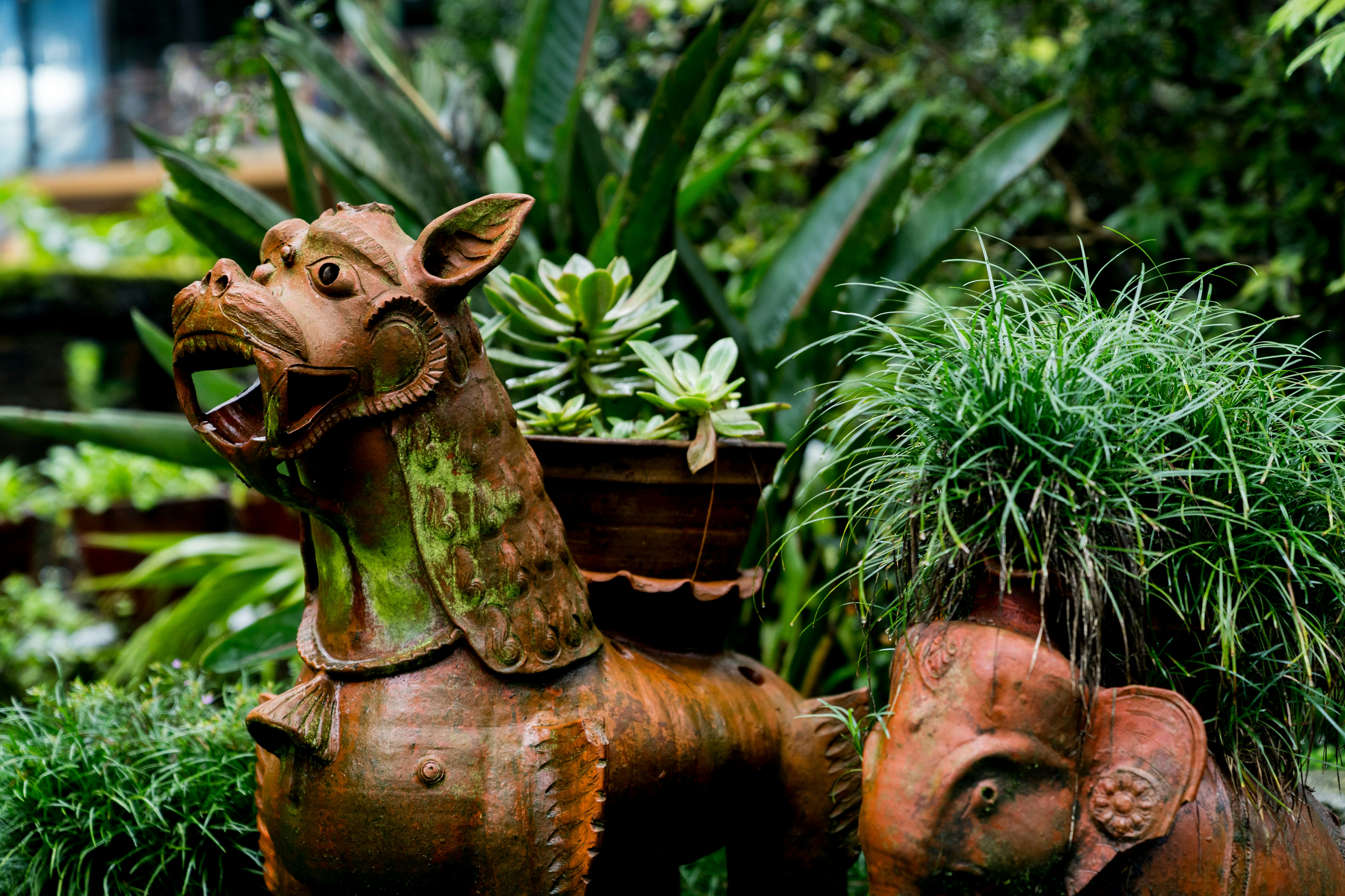 Photo by Frederick Shaw with Sony Alpha 7 III