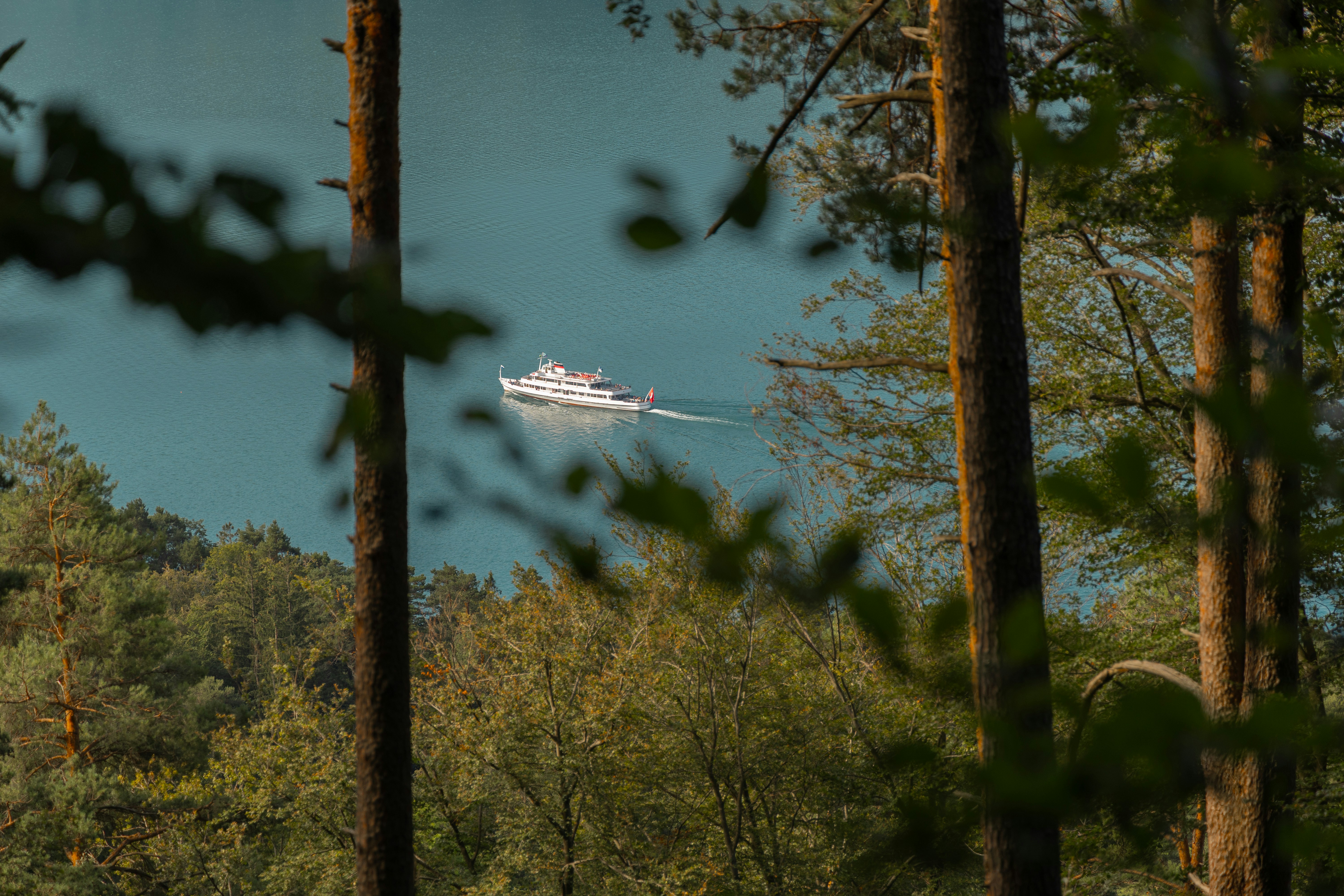 A boat glides smoothly across a tranquil lake, framed by lush trees and a serene backdrop of nature. The scene captures a moment of peaceful exploration.