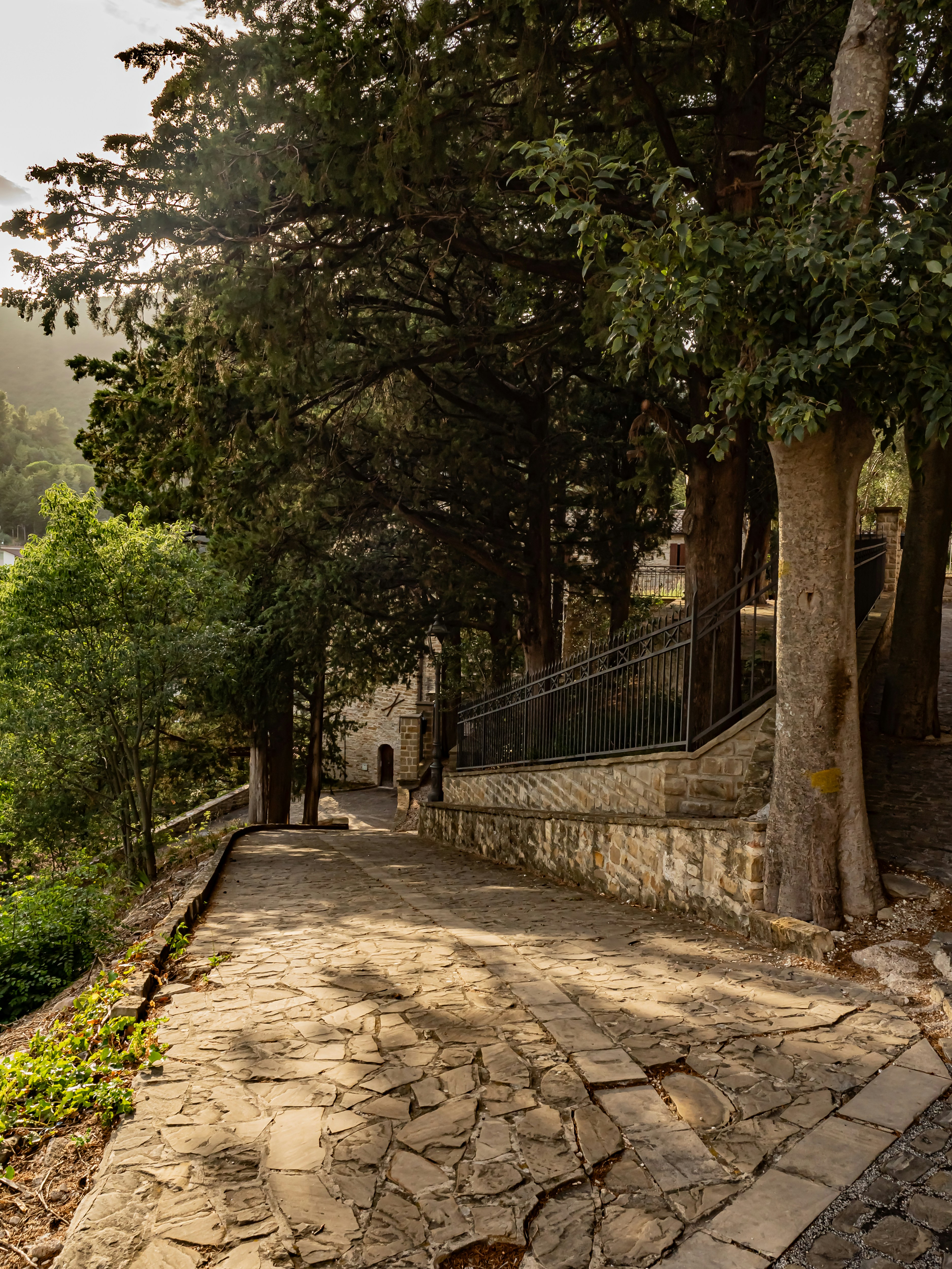Stone pathway winding through a forested area with sunlight filtering through the trees.