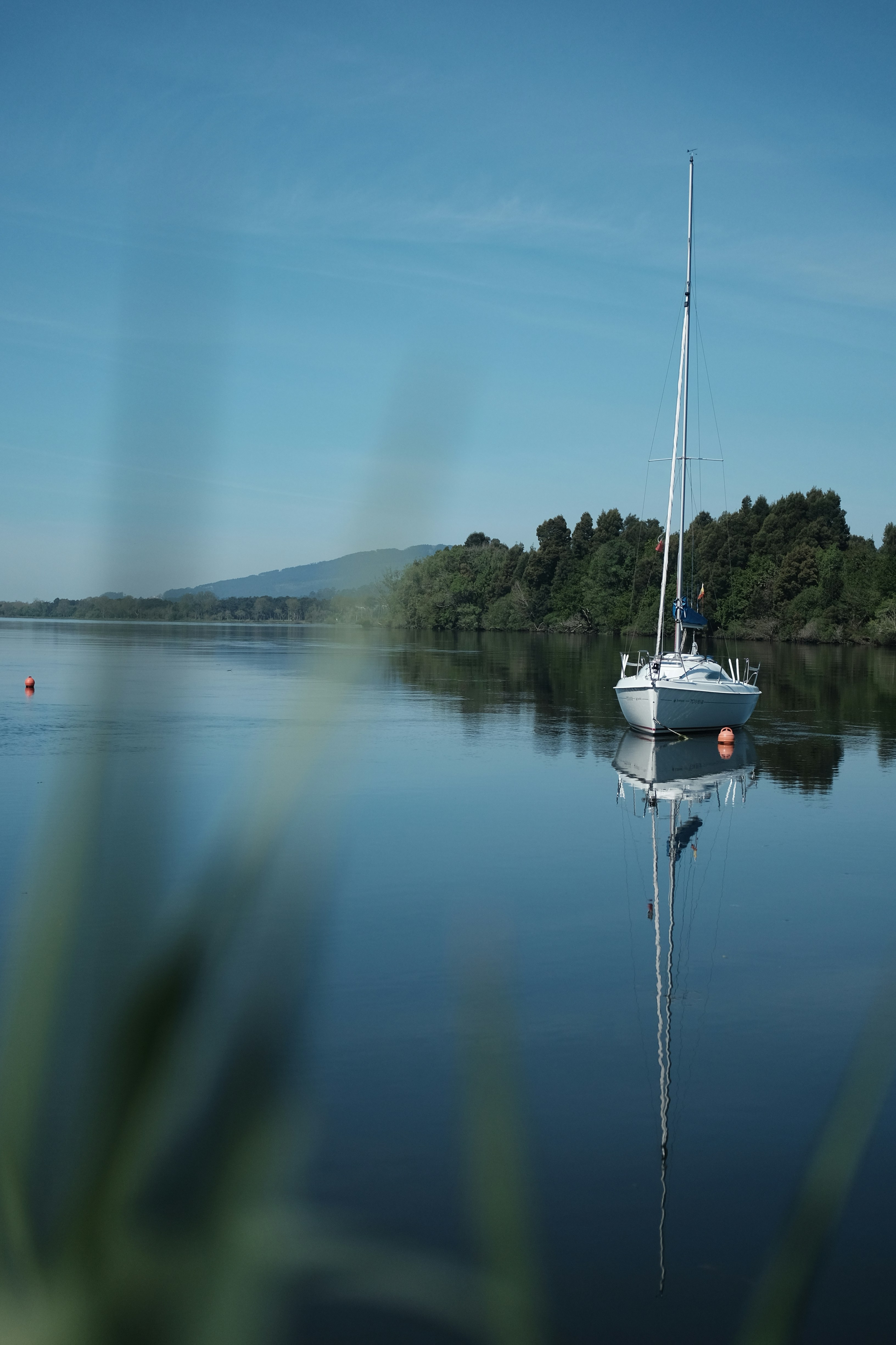 A sailboat floating on a lake with trees in the background photo – Free ...
