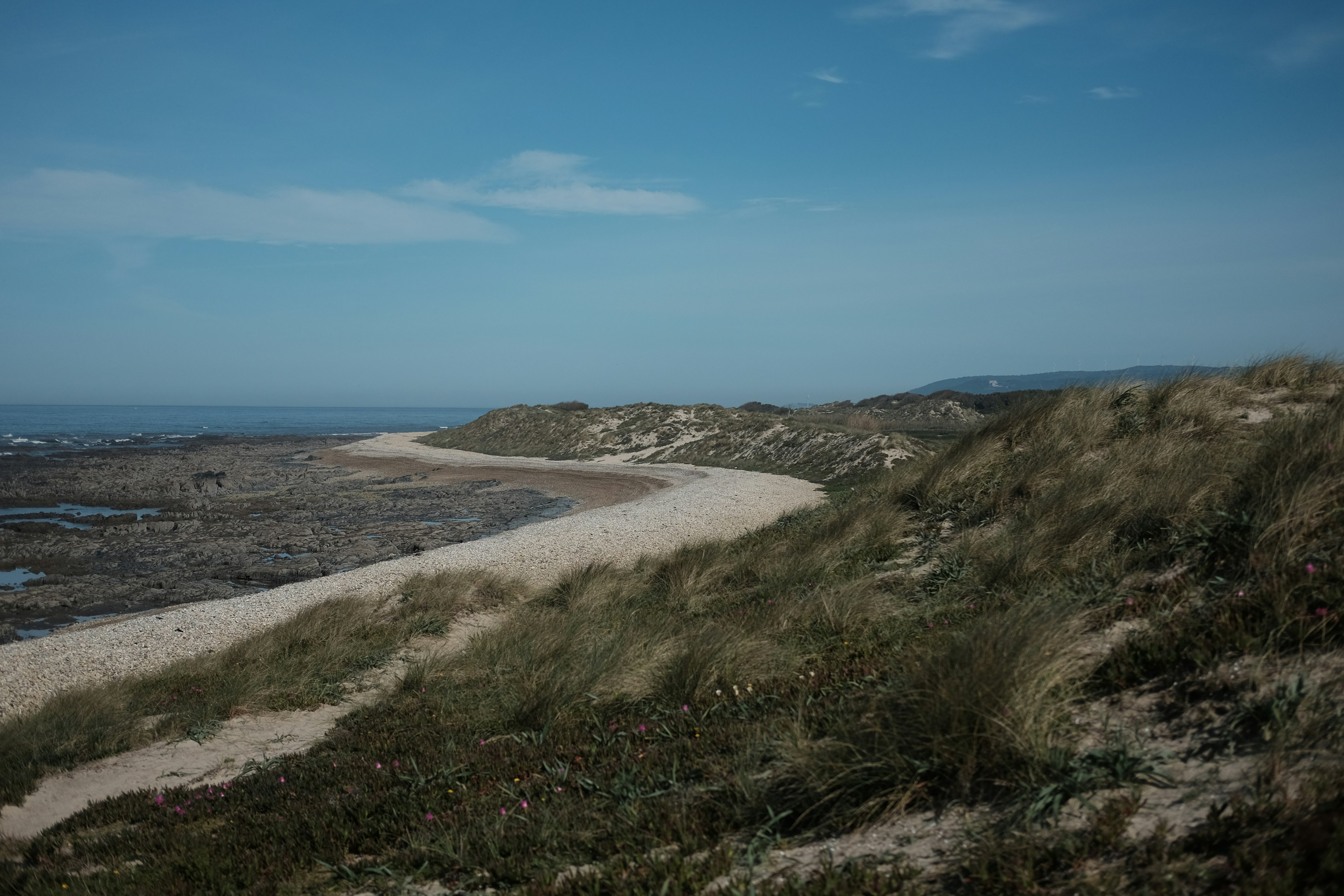 Photo by raquel raq with Fujifilm X-T10