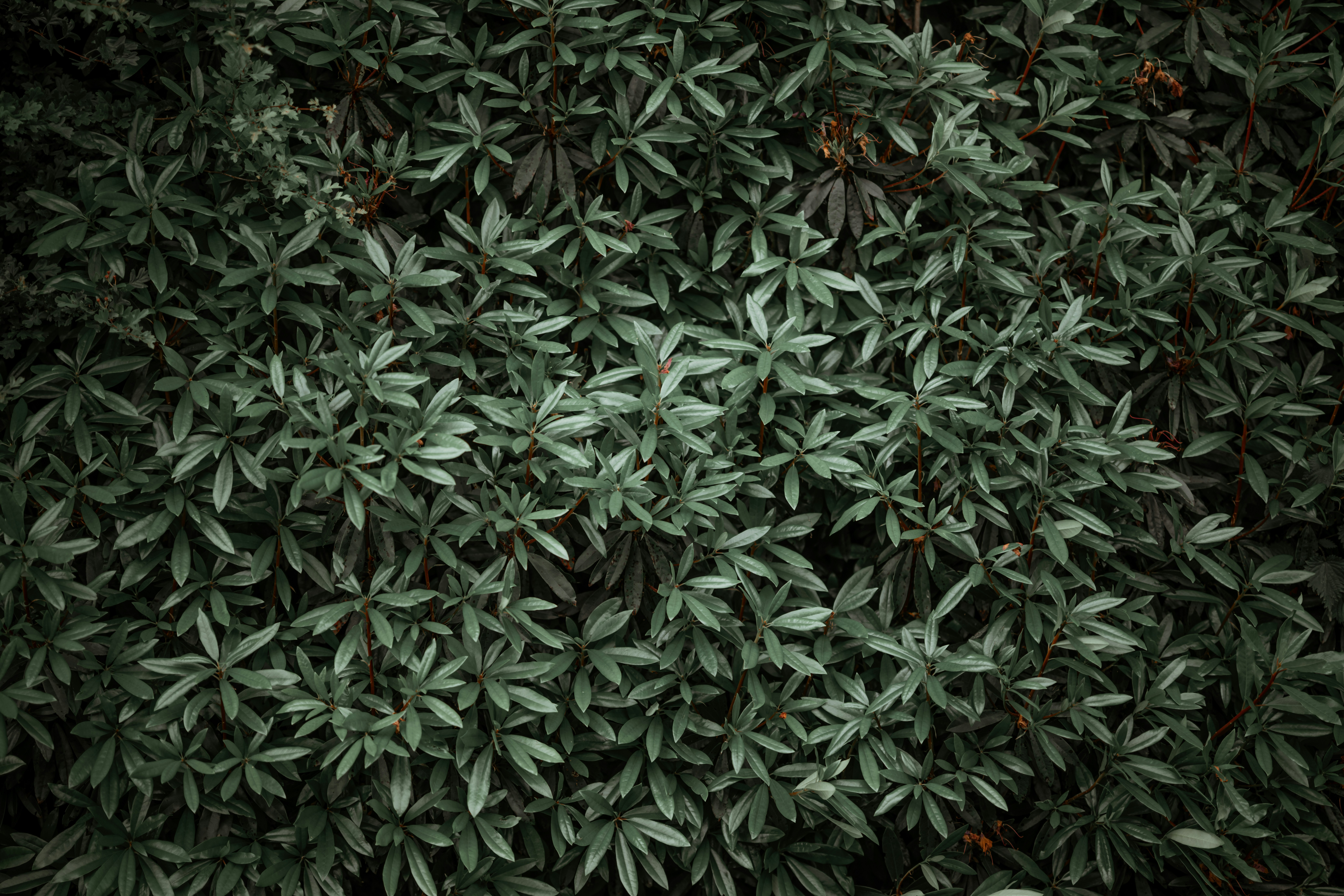 Photo by Jon Ehresman with Nikon Z8