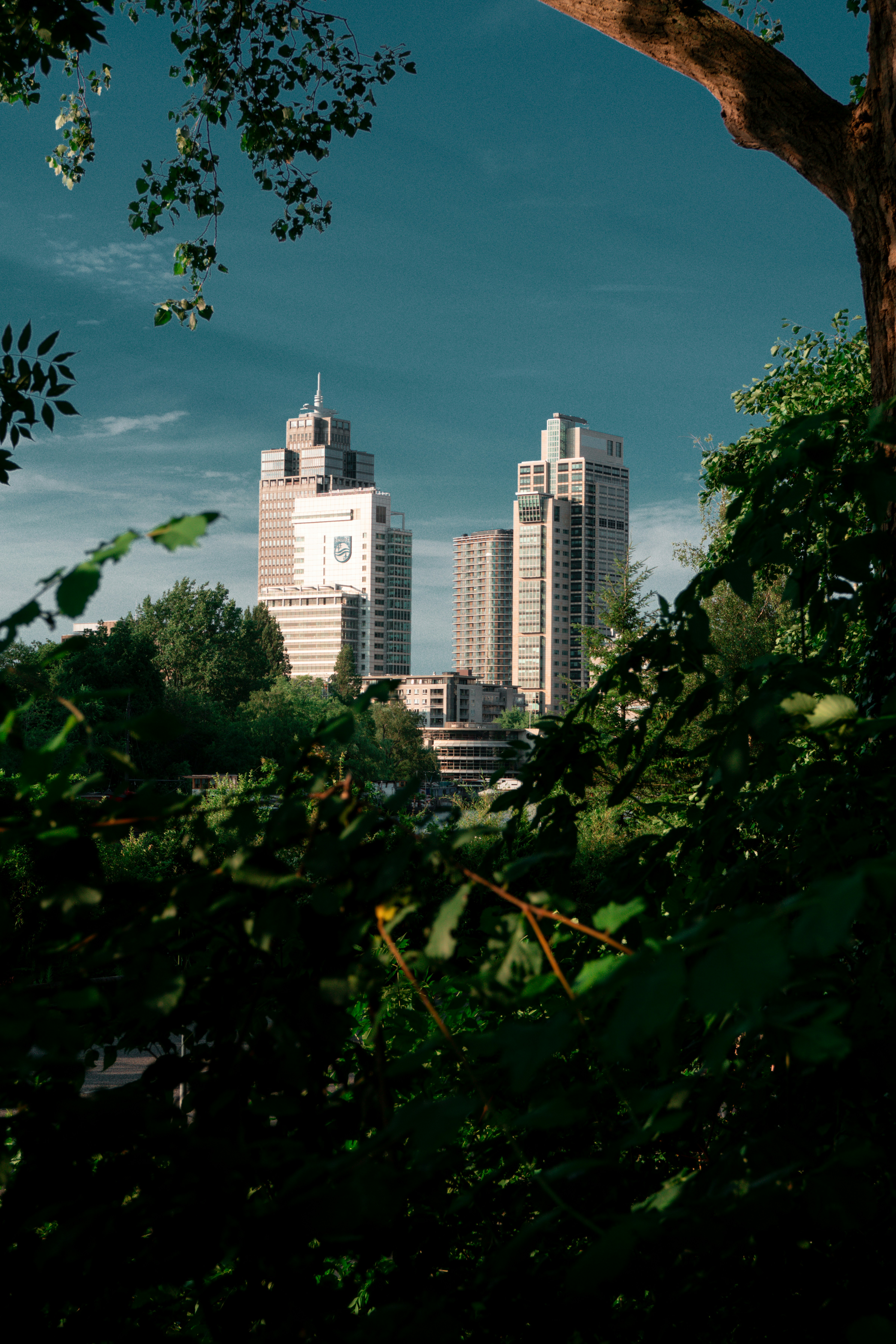 A group of skyscrapers in Amsterdam between woods