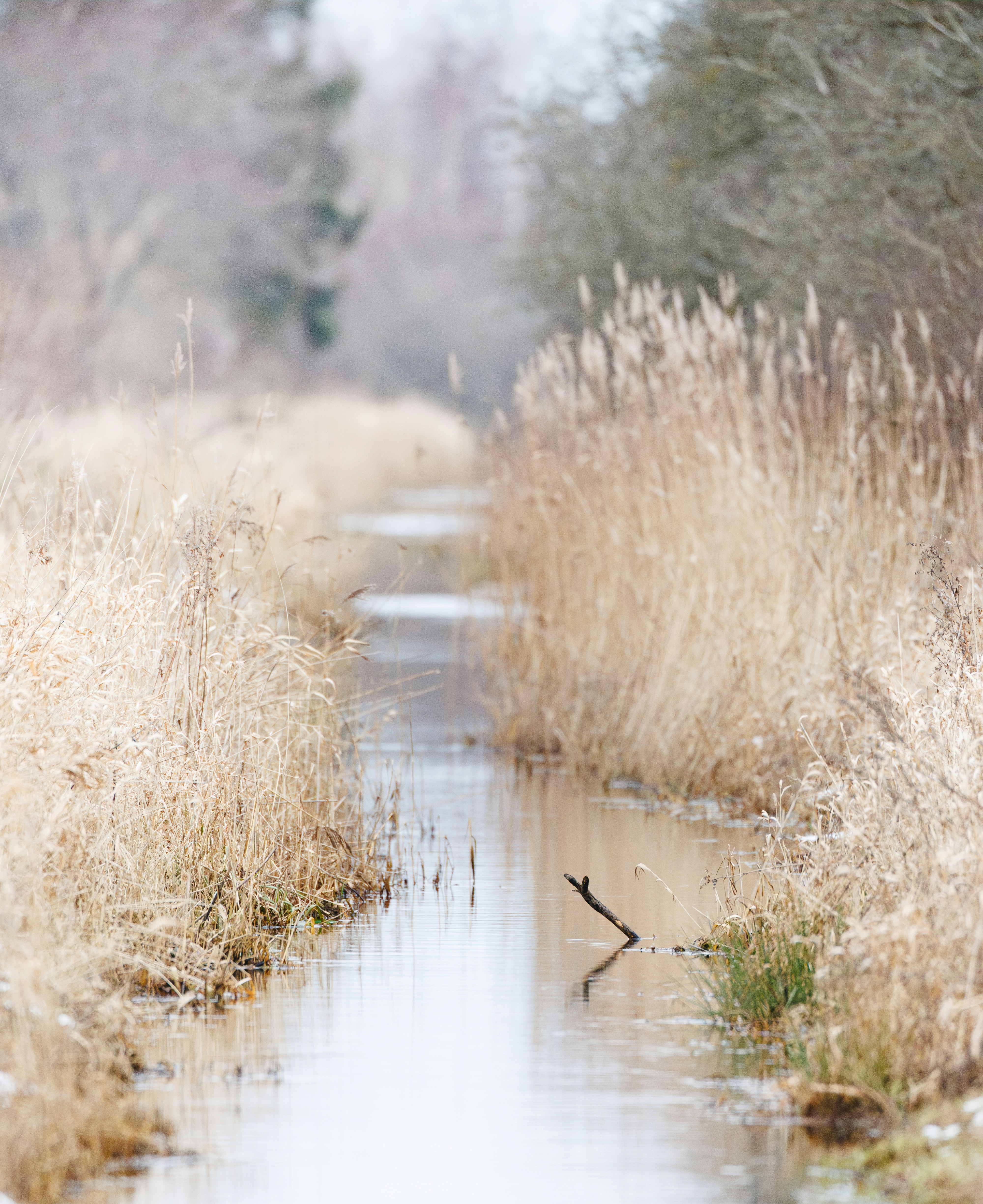 A stream running through a dry grass covered field photo – Free Ditch ...