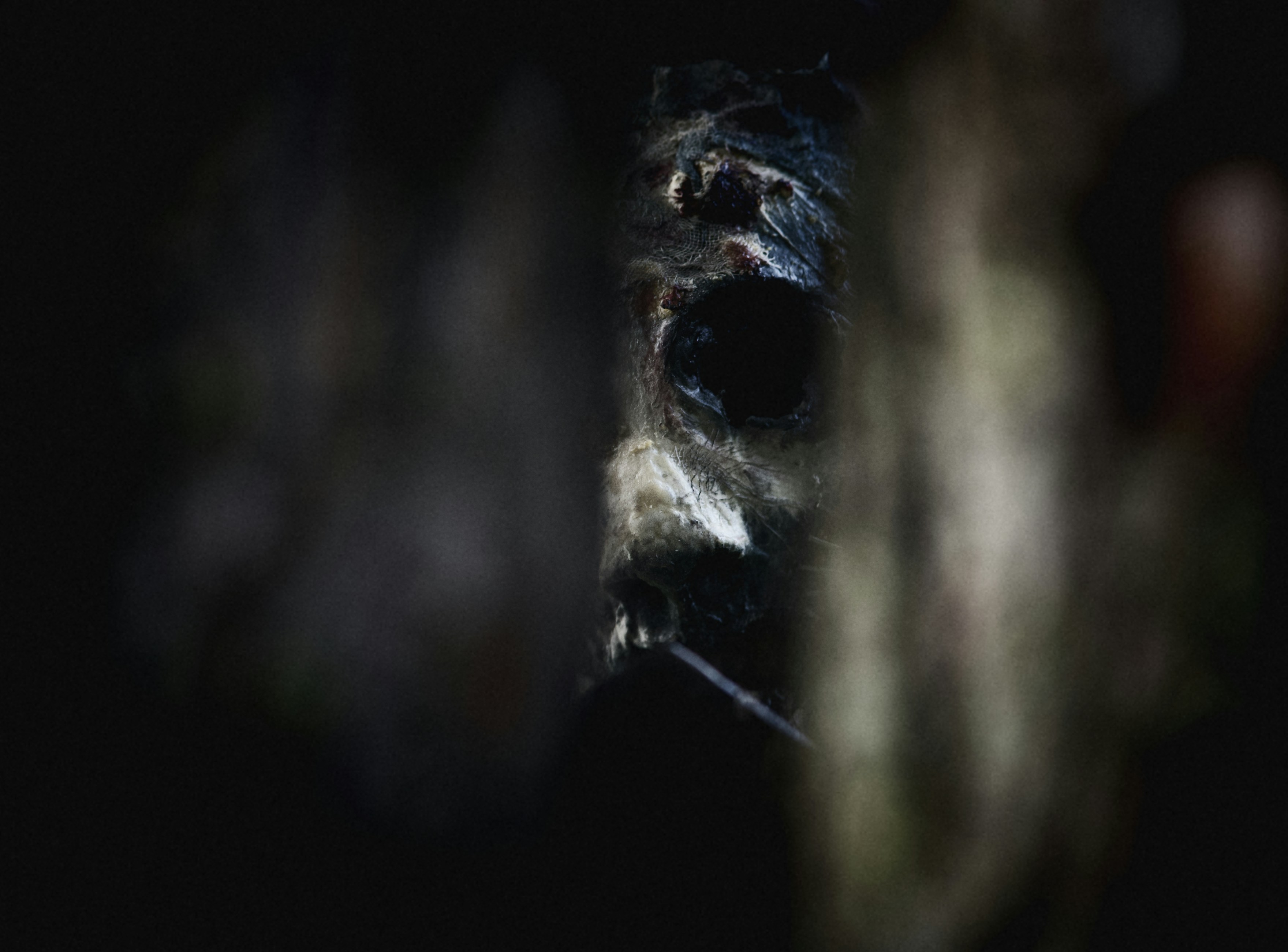 A blurry photo of a scary looking face photo – Free Human Image on Unsplash