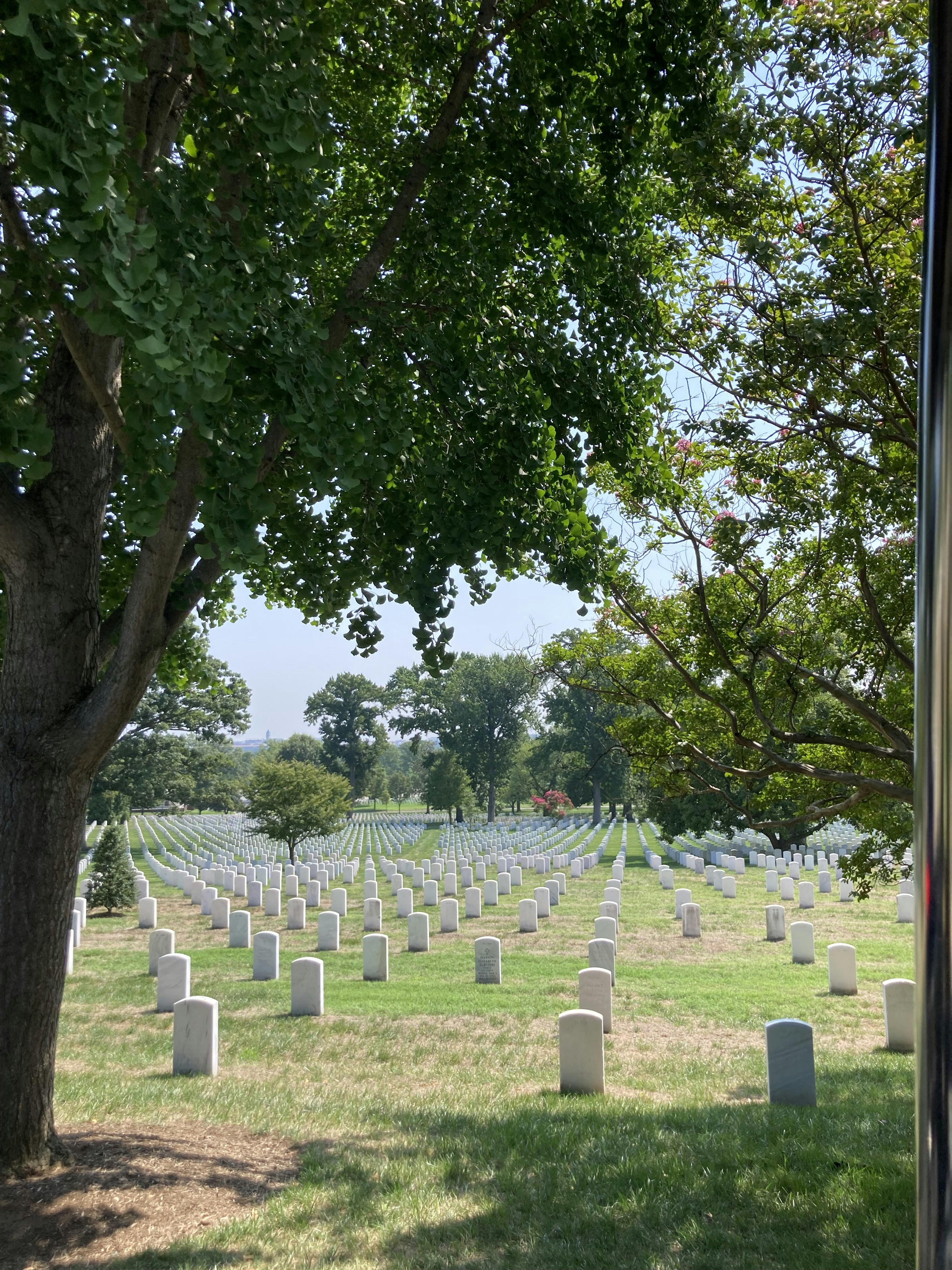 Rows of white headstones in a sunlit cemetery framed by lush green trees.