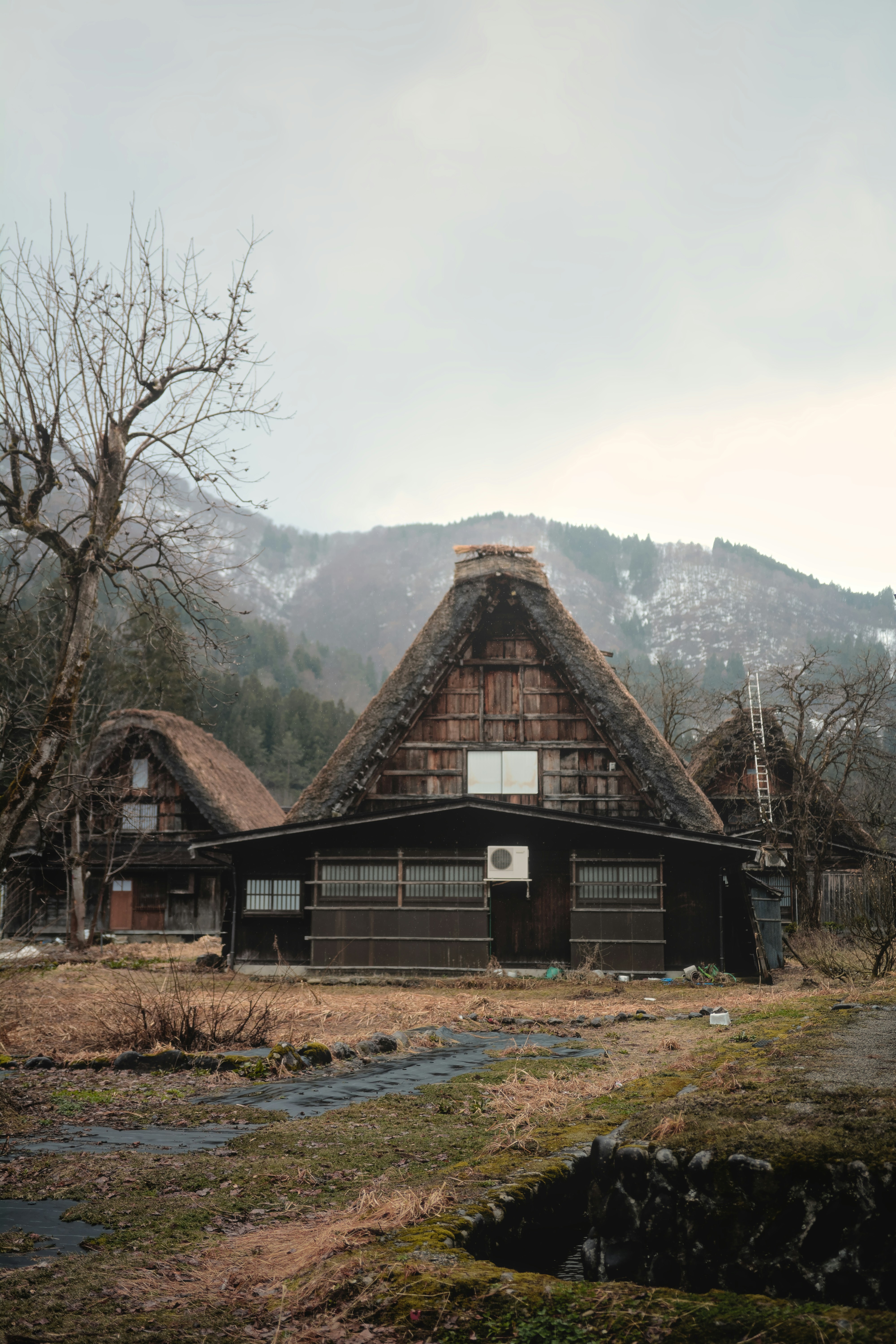 Photo by Aoi with Nikon D7100