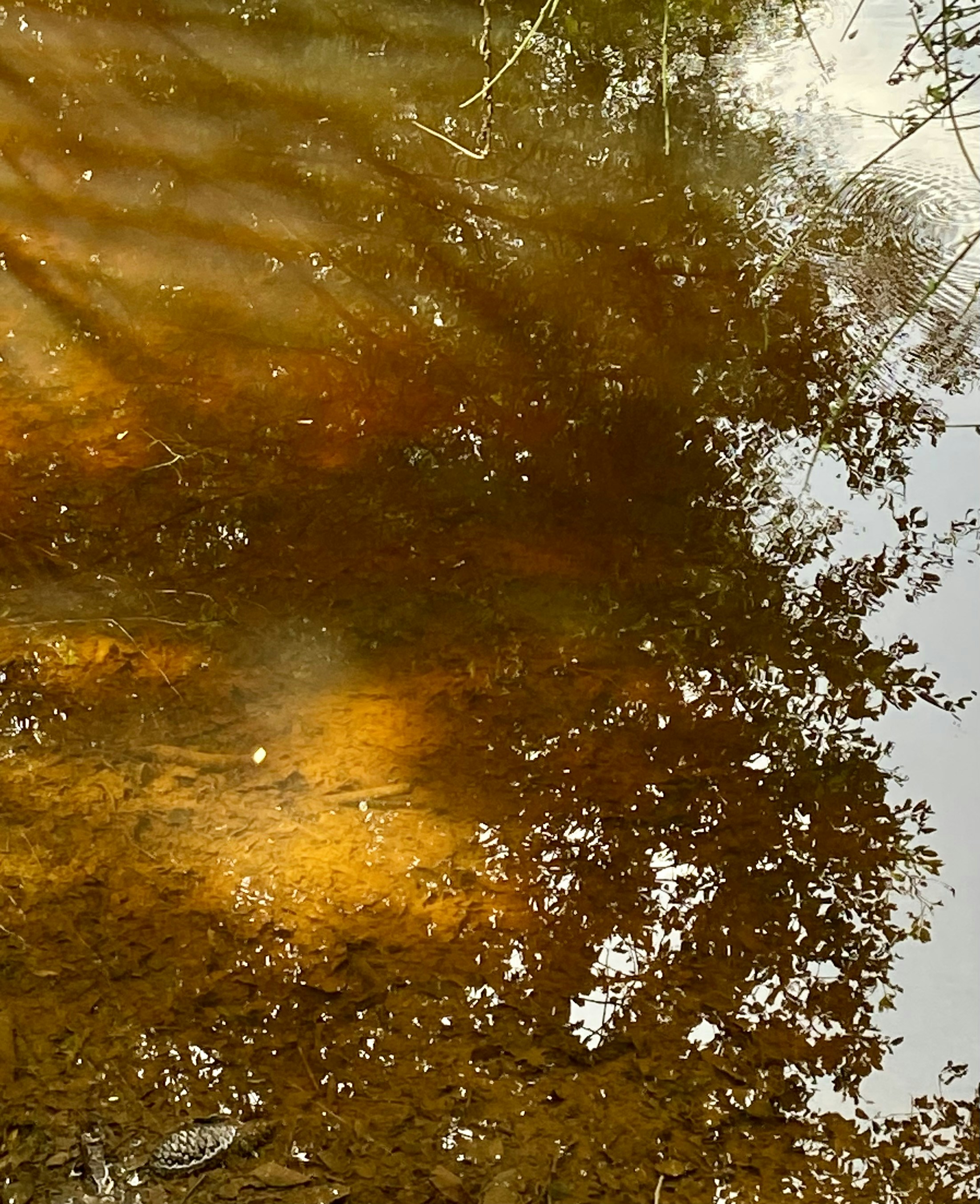 Mercey eric (@ericmercey) | Unsplash Photo Community