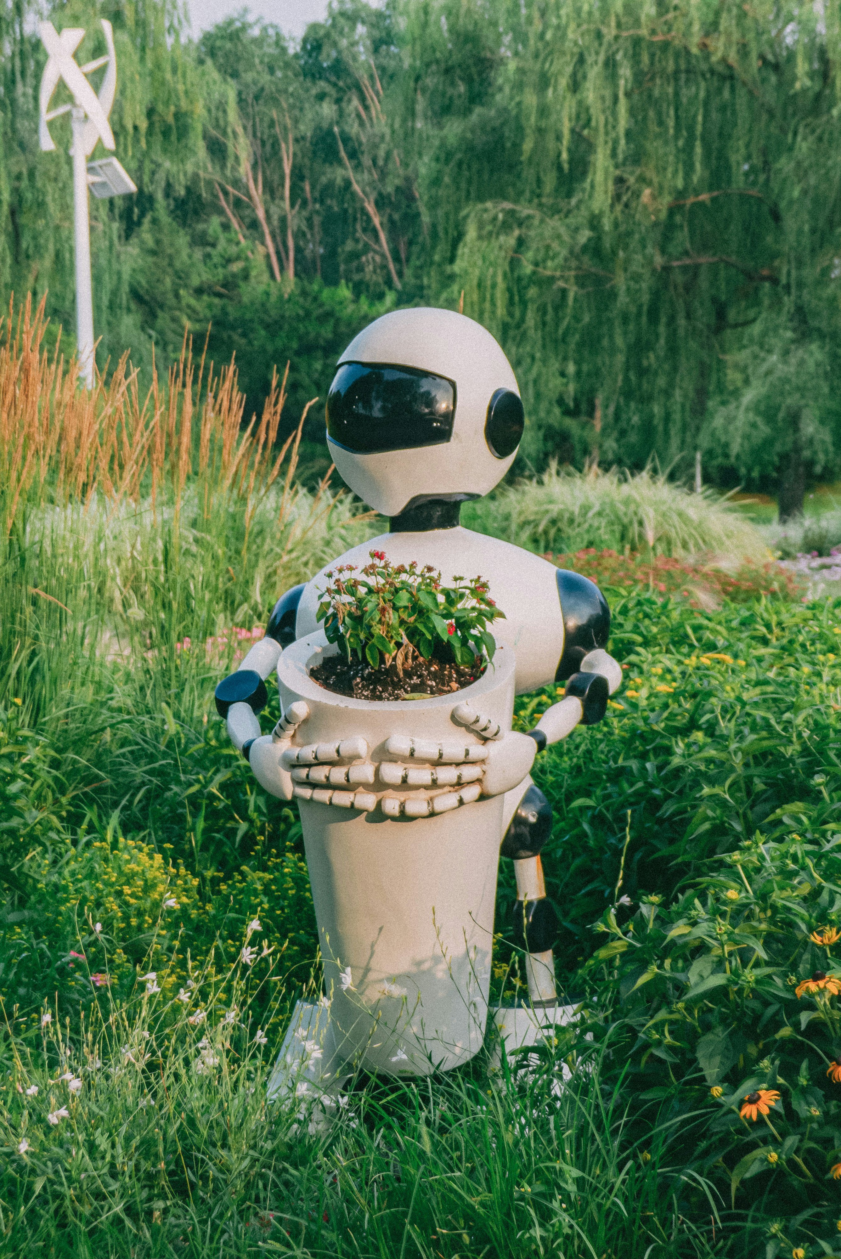 Un robot sosteniendo una planta en maceta en un campo foto – Imagen de ...